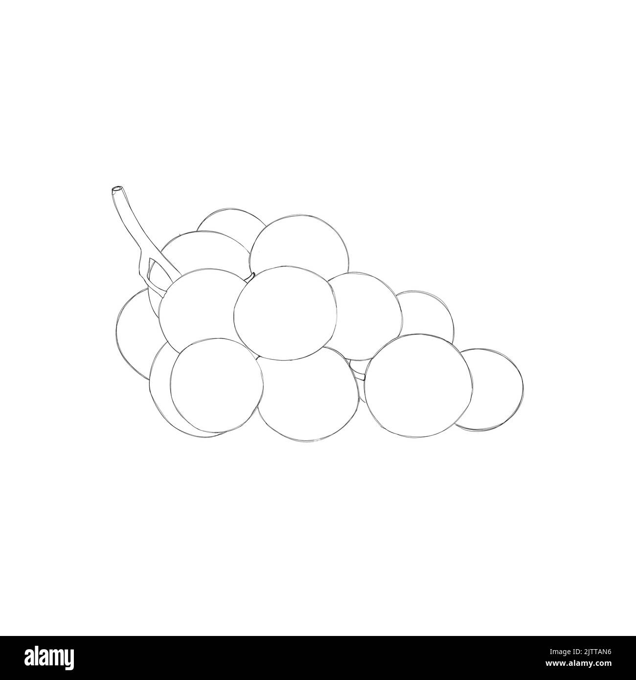 a bunch of grapes - a template for a children's coloring book, a ...
