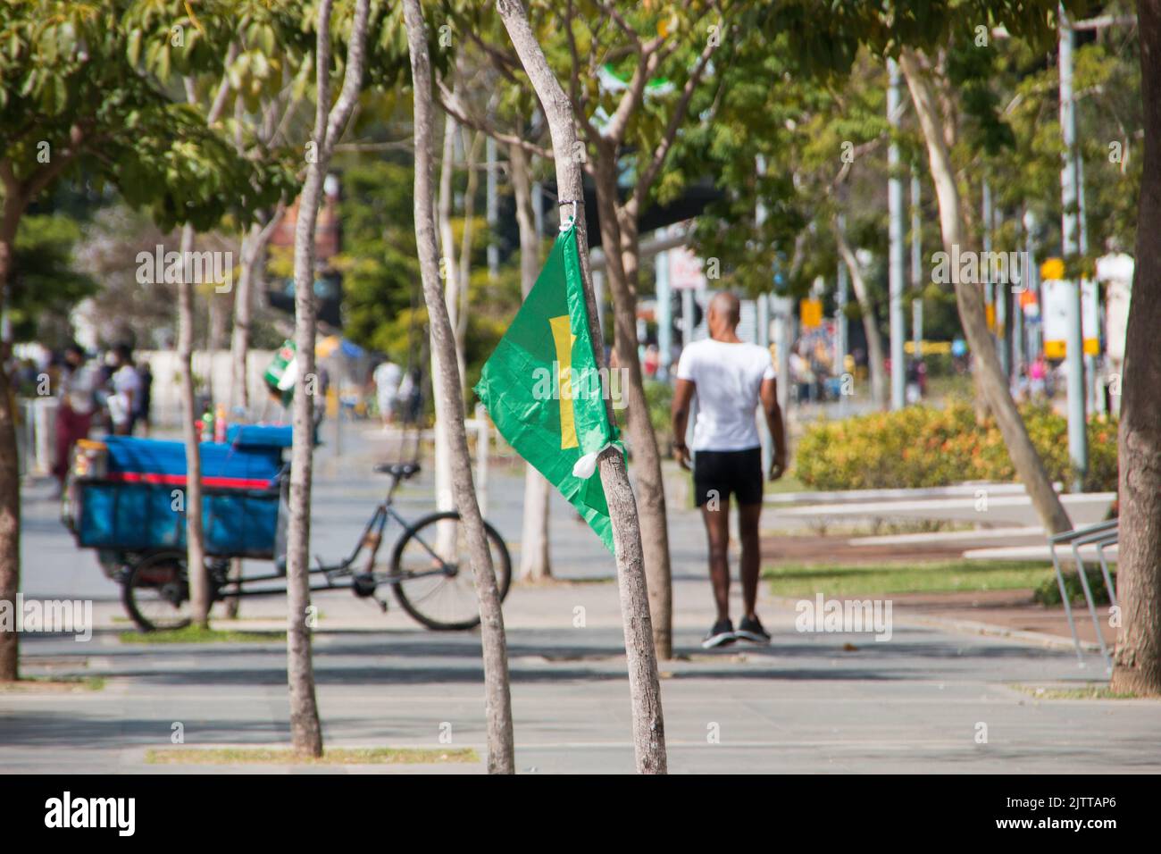 Proclamation of the republic of brazil. hi-res stock photography and ...