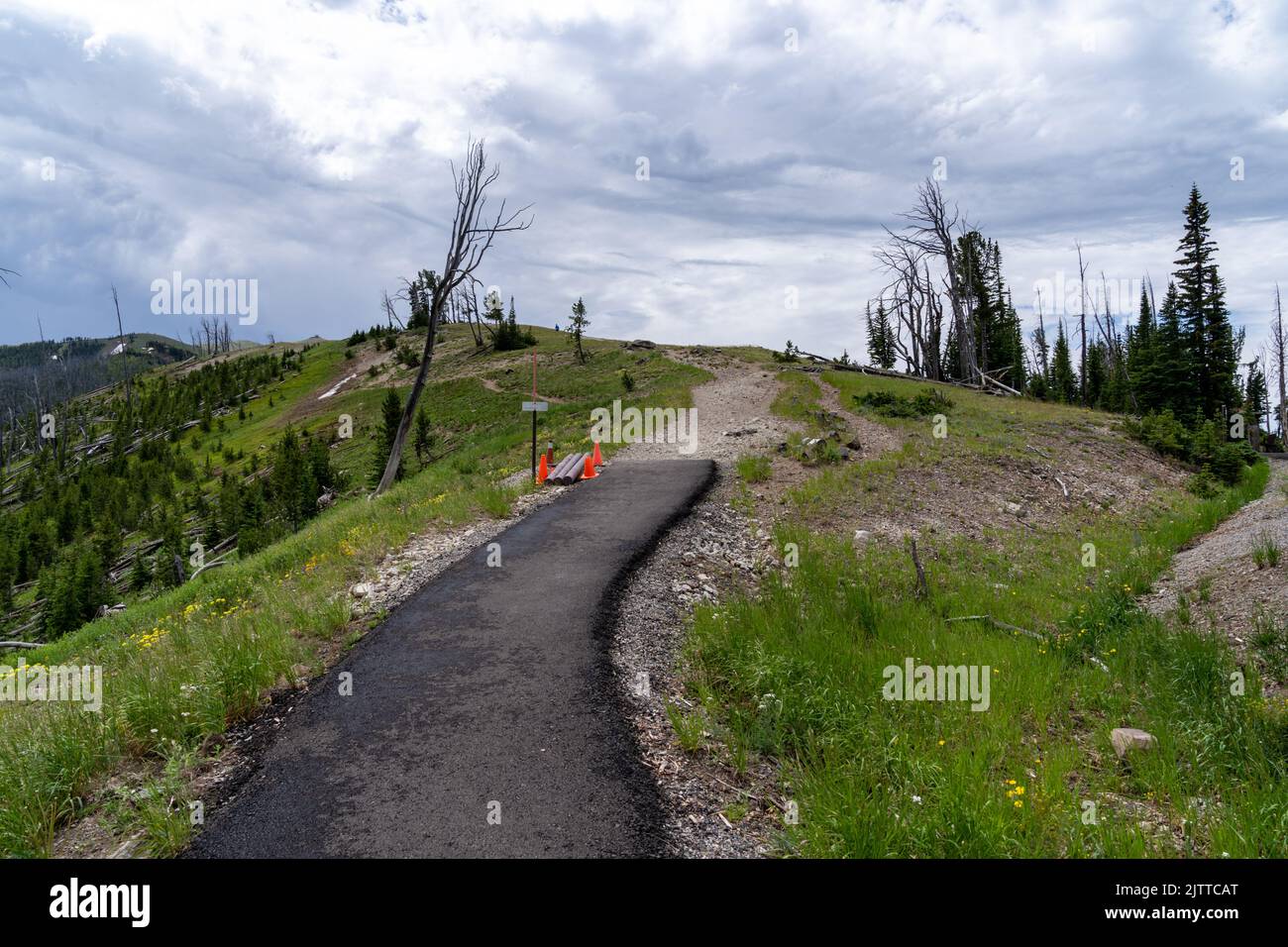 Trailhead start of the Mt. Washburn Trail in Yellowstone National Park ...