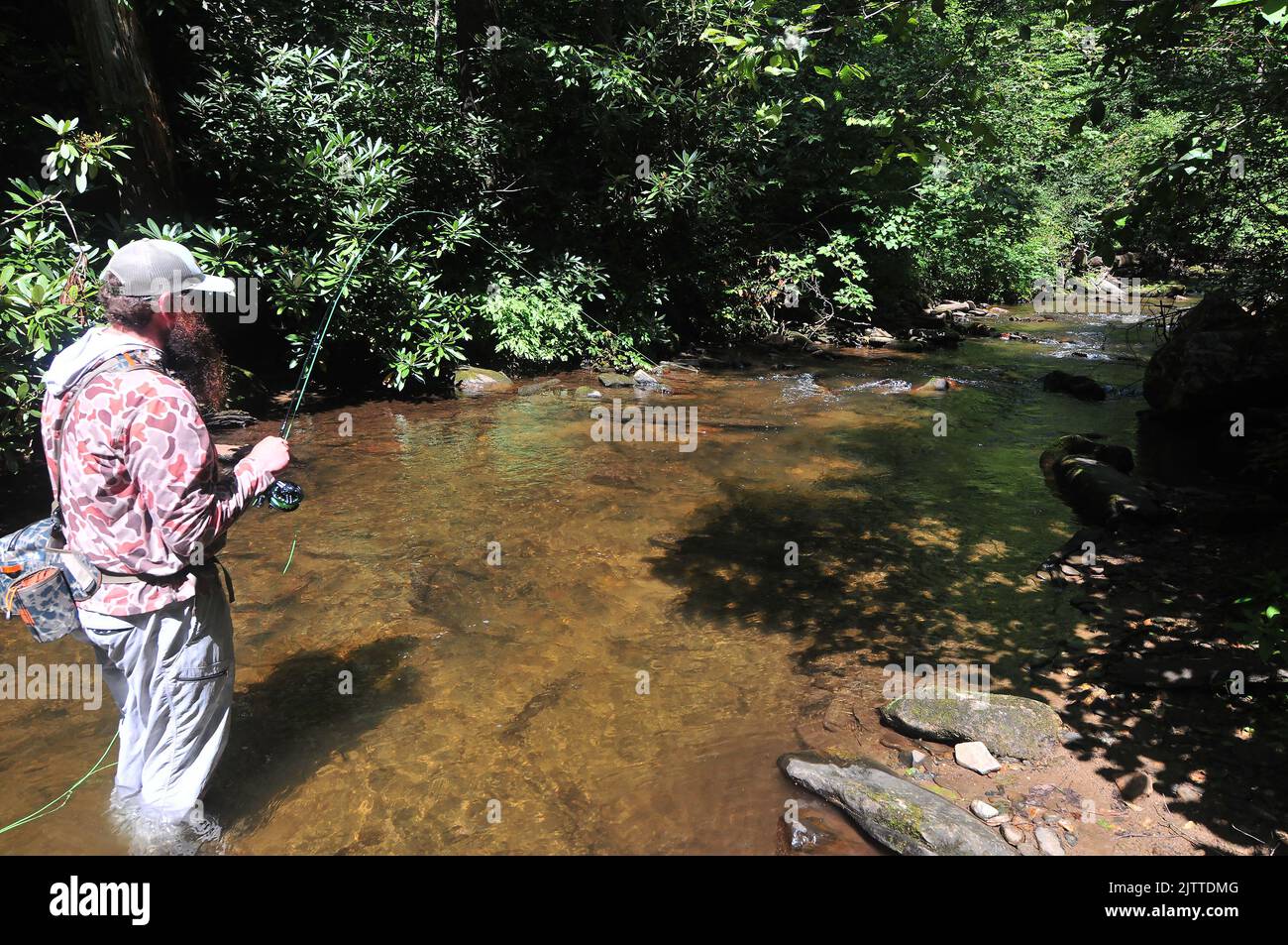 A trout angler works a quiet pool for trout in North Carolina's ...