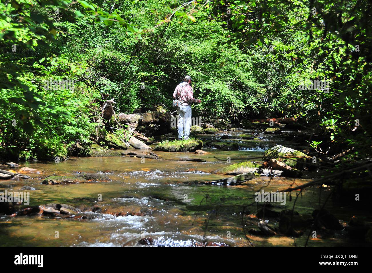 A trout angler works a quiet pool for trout in North Carolina's ...
