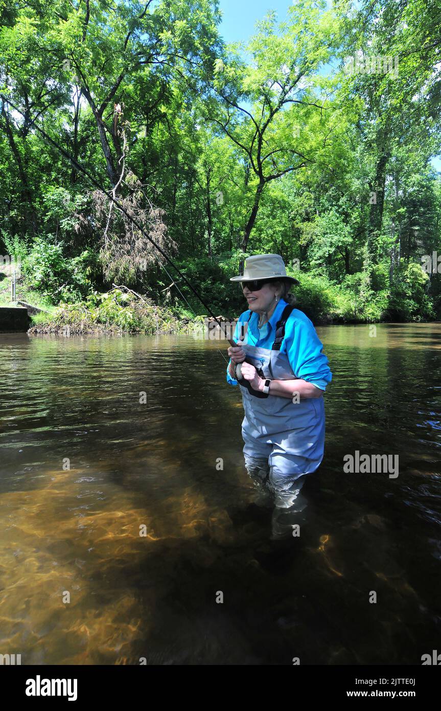 A trout angler works a quiet pool of the Davidson River in North ...