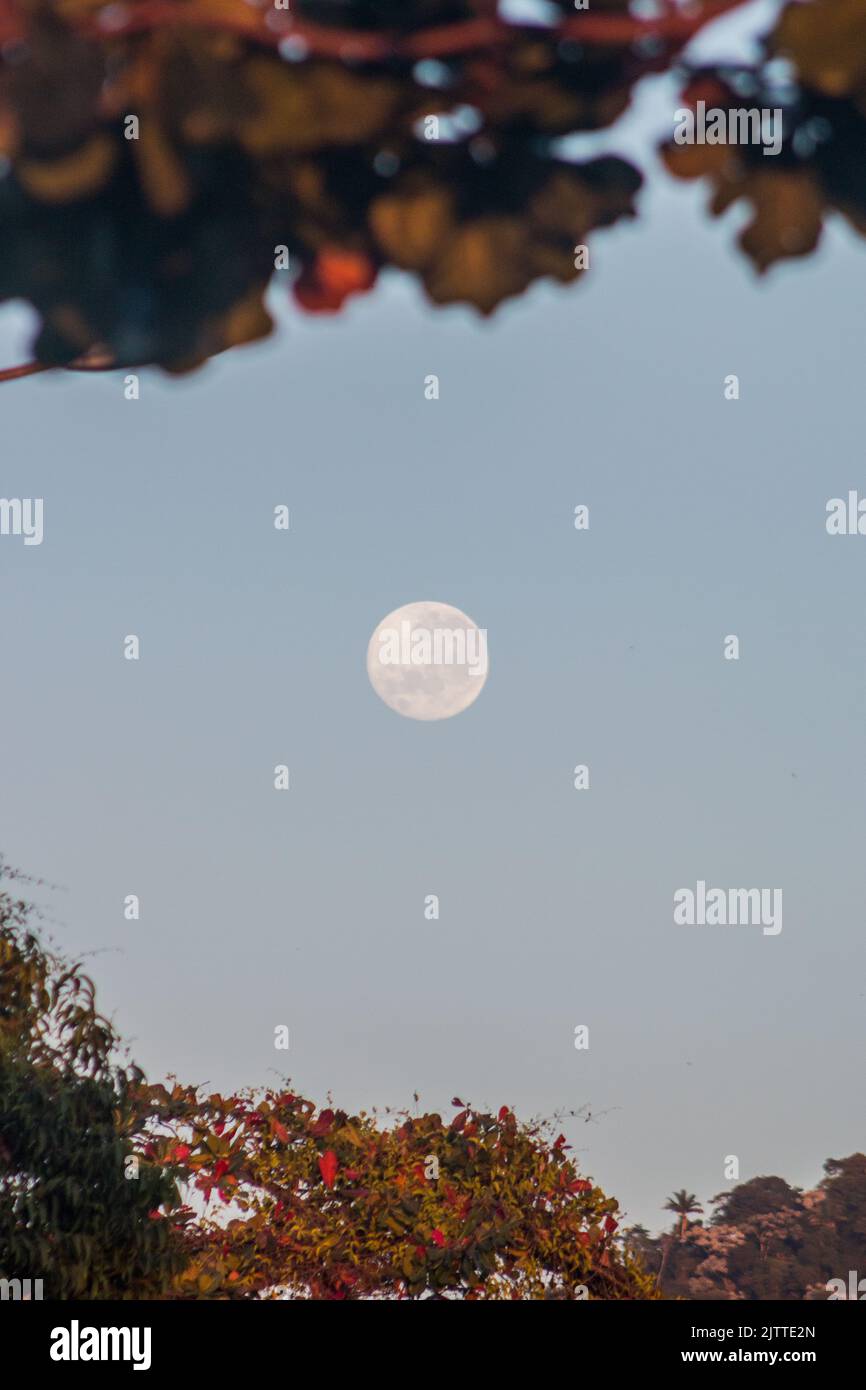 Full moon skyline close up hi-res stock photography and images - Alamy