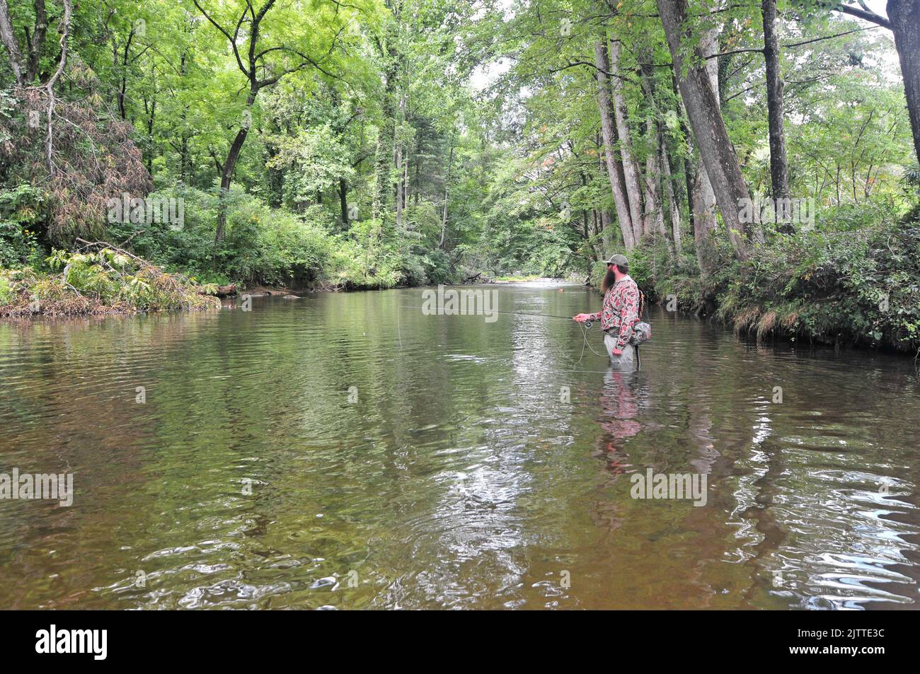 A trout angler works a quiet pool of the Davidson River in North ...