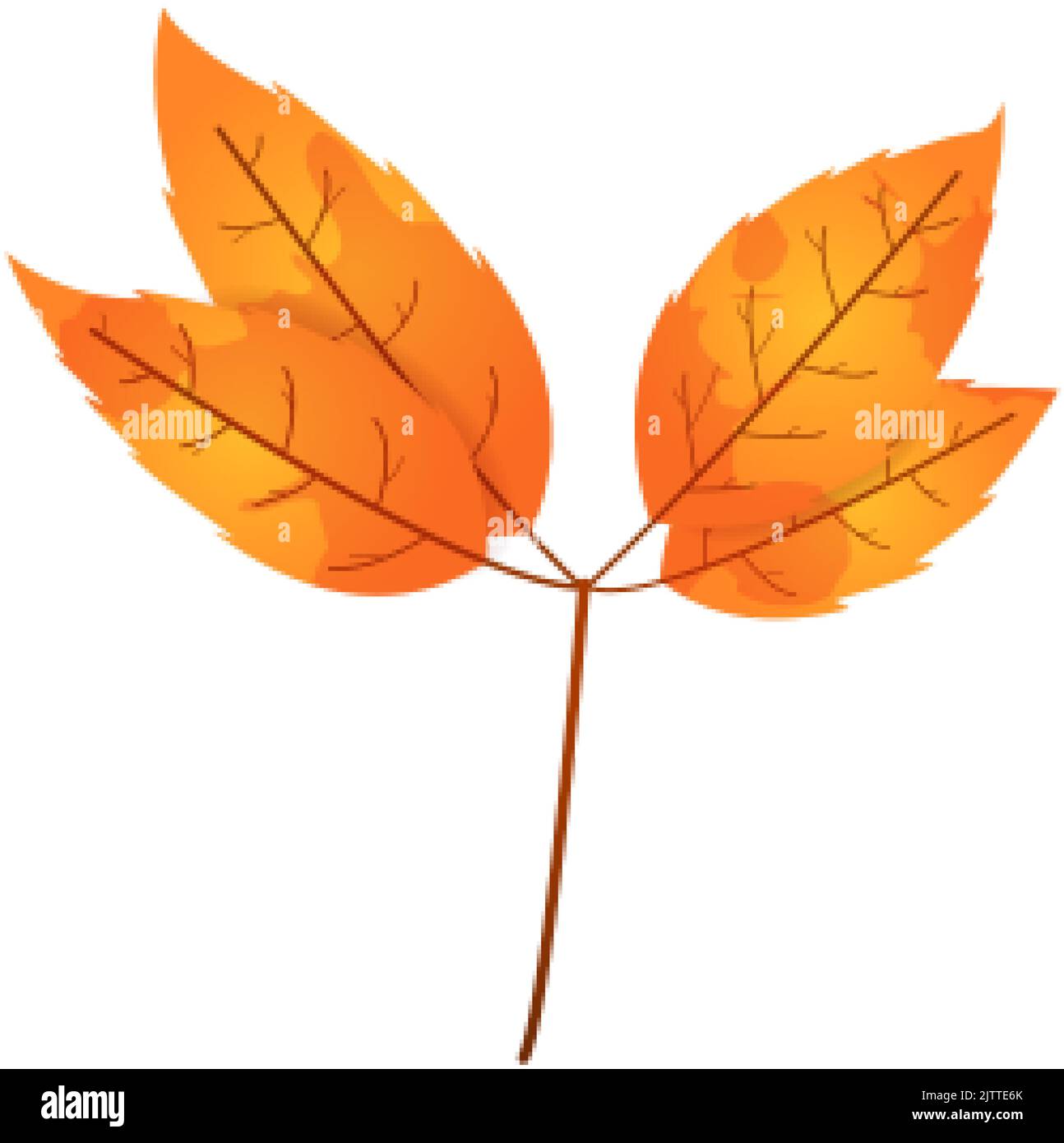 Withered autumn motley leaf. Fallen leaf with blot texture Stock Vector ...