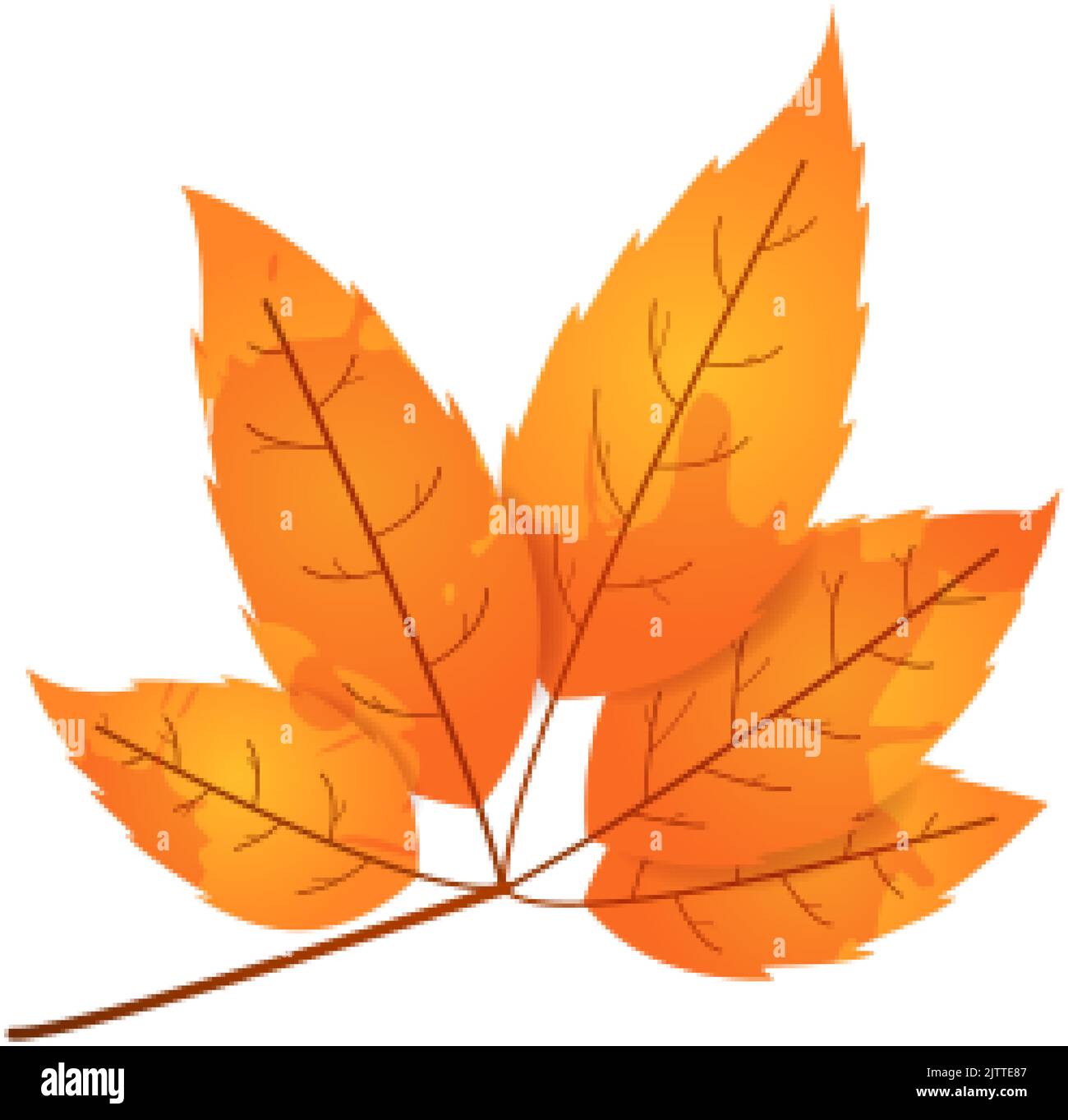 Withered autumn motley leaf. Fallen leaf with blot texture Stock Vector ...