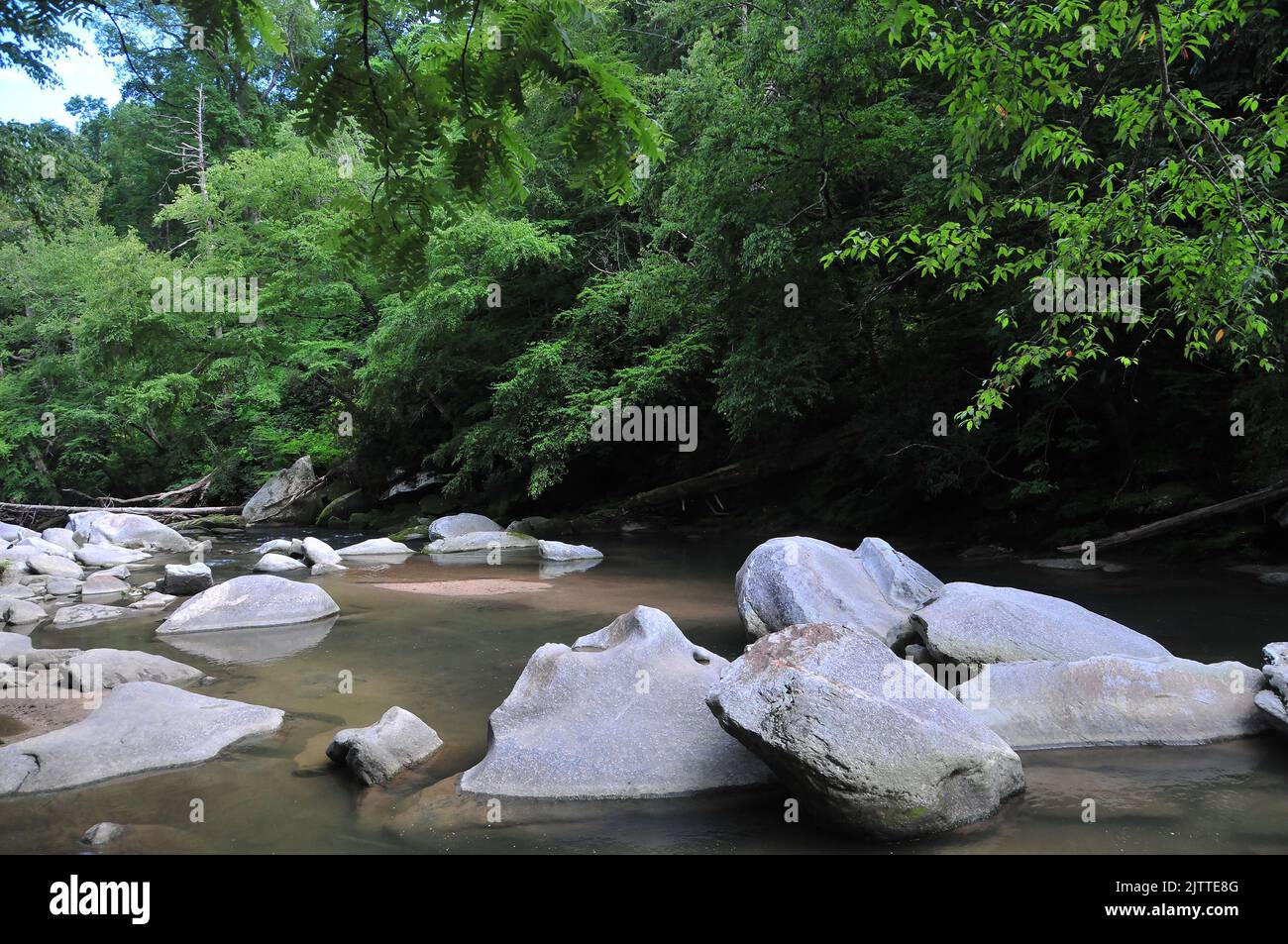 Trout anglers love to fish quiet pools off a small rivers in North ...