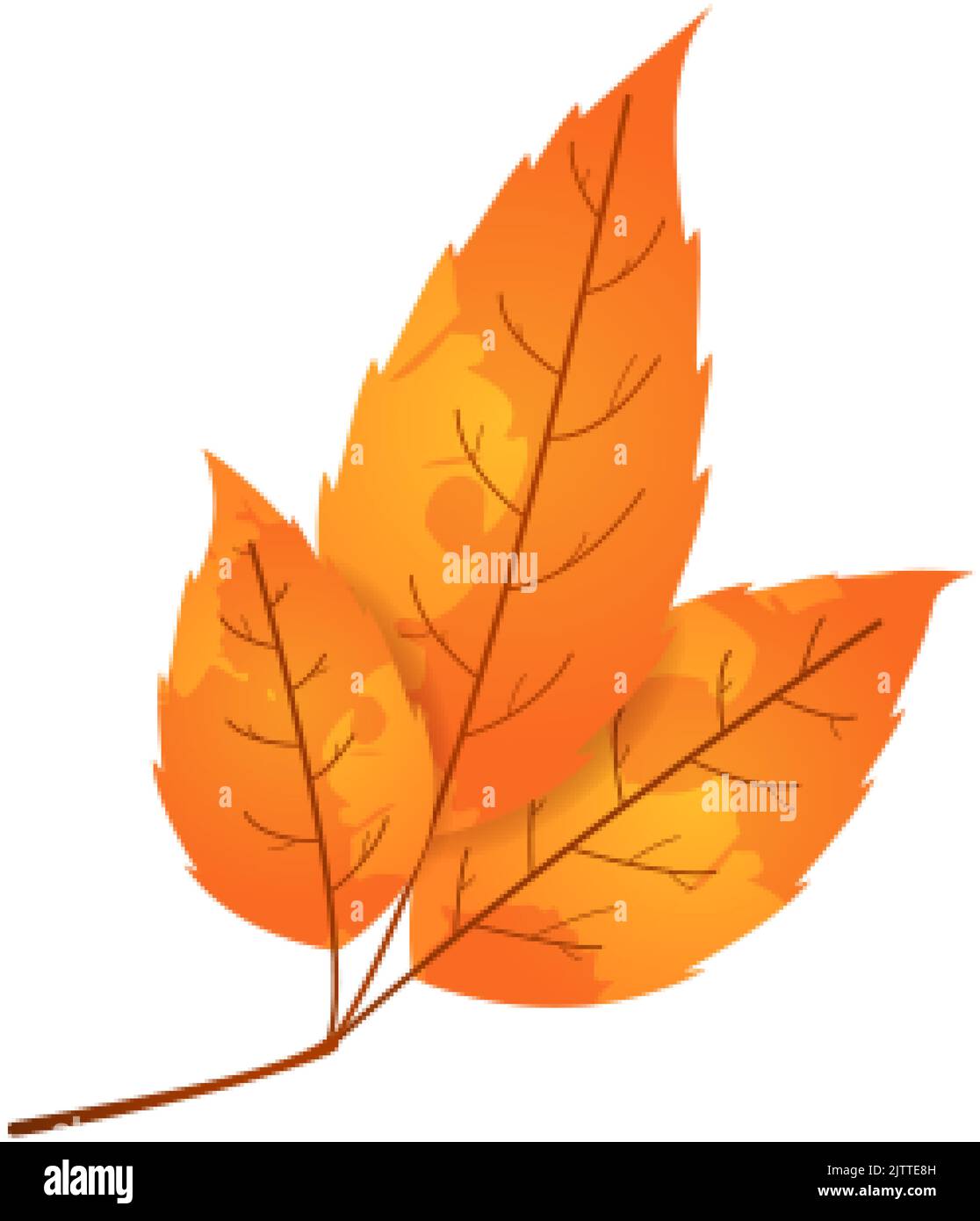 Withered autumn motley leaf. Fallen leaf with blot texture Stock Vector ...