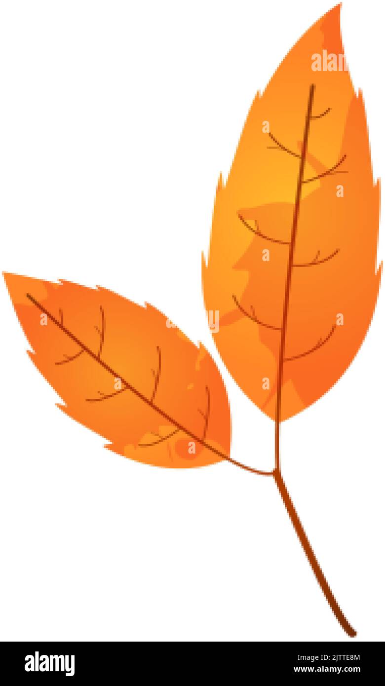 Withered autumn motley leaf. Fallen leaf with blot texture Stock Vector ...