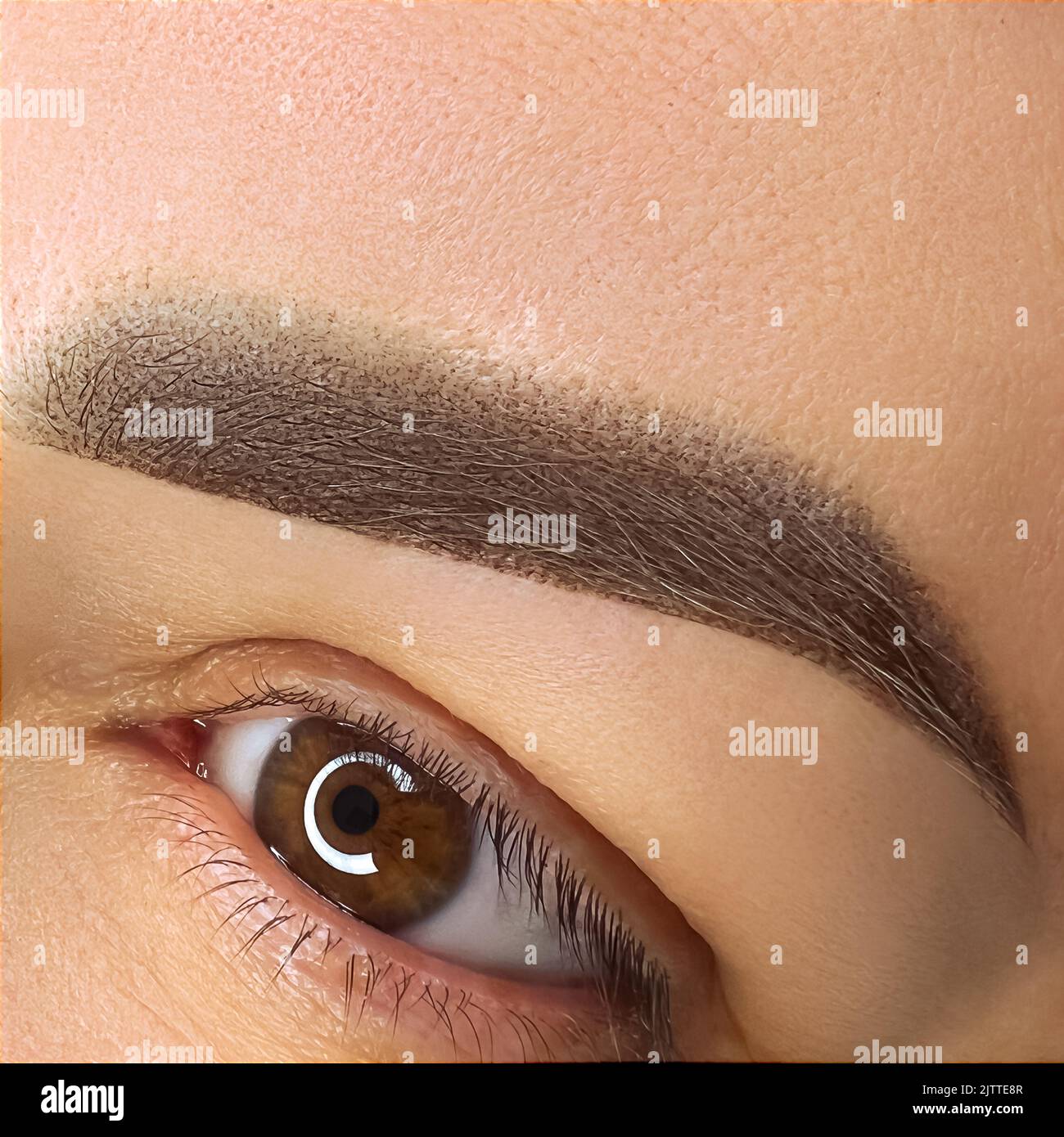 permanent eyebrow makeup close-up eyebrow tattoo made in powder ...