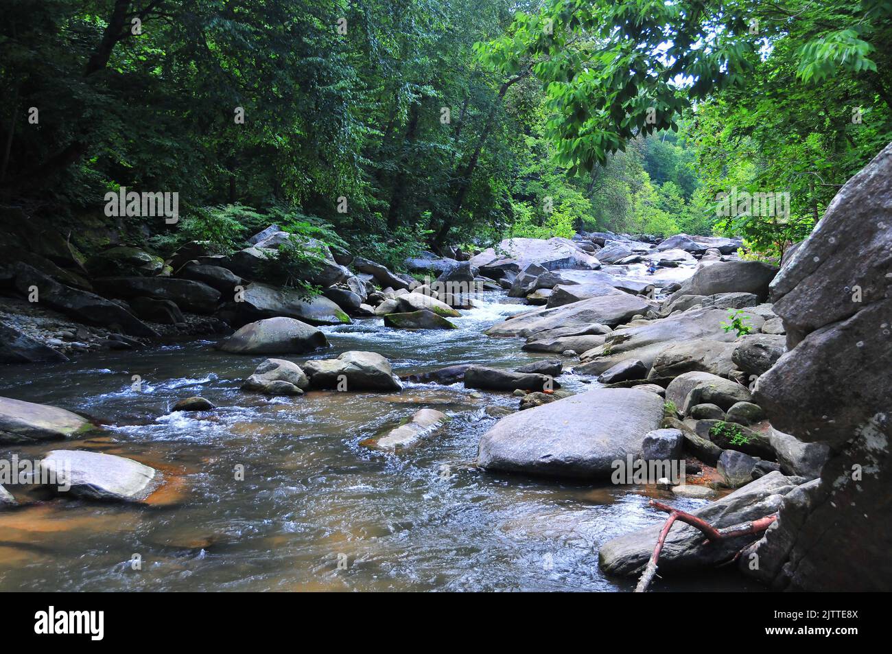 Trout anglers love to fish quiet pools off a small rivers in North ...