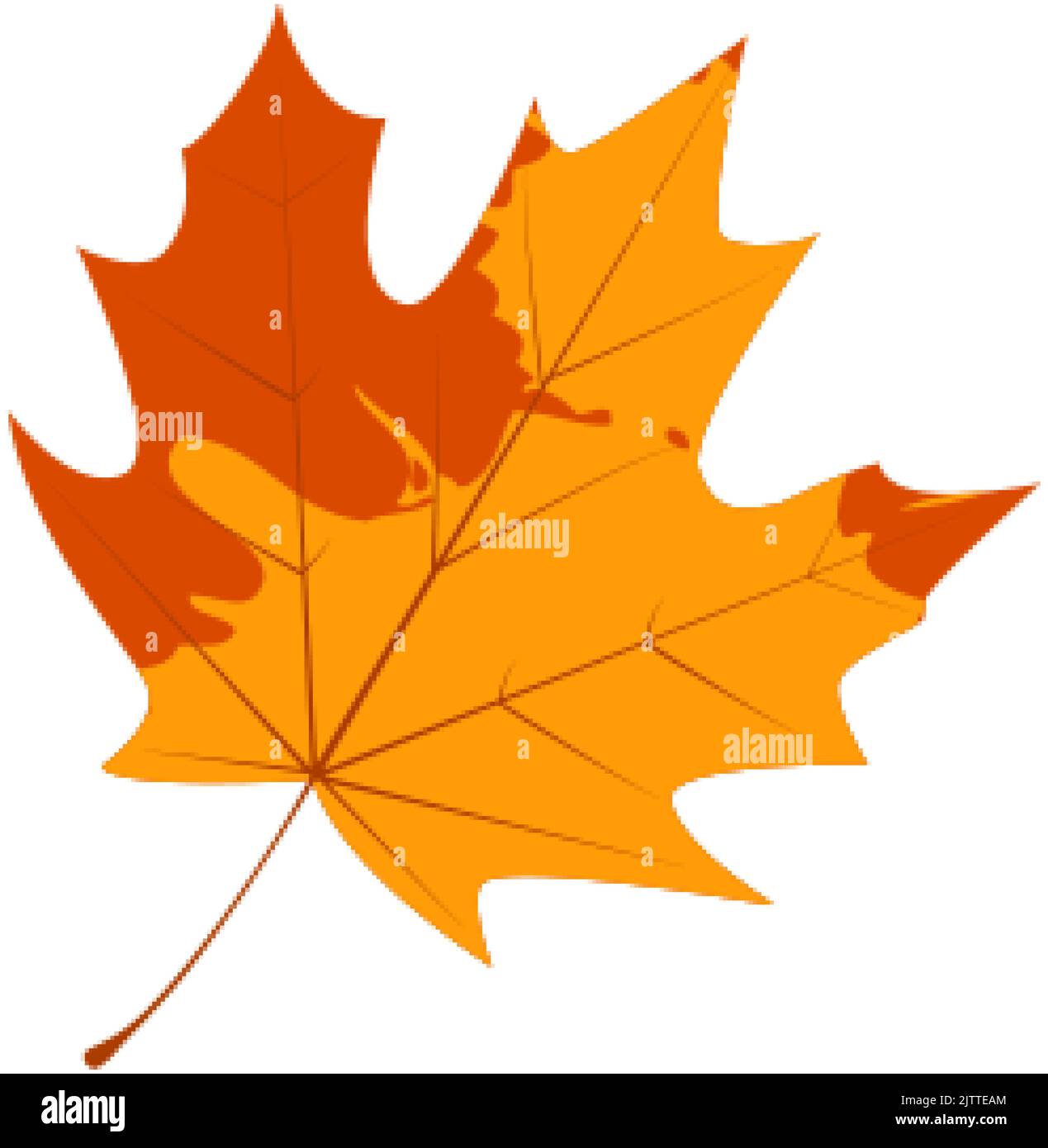 Withered autumn maple leaf. Fallen leaf with notley texture Stock ...