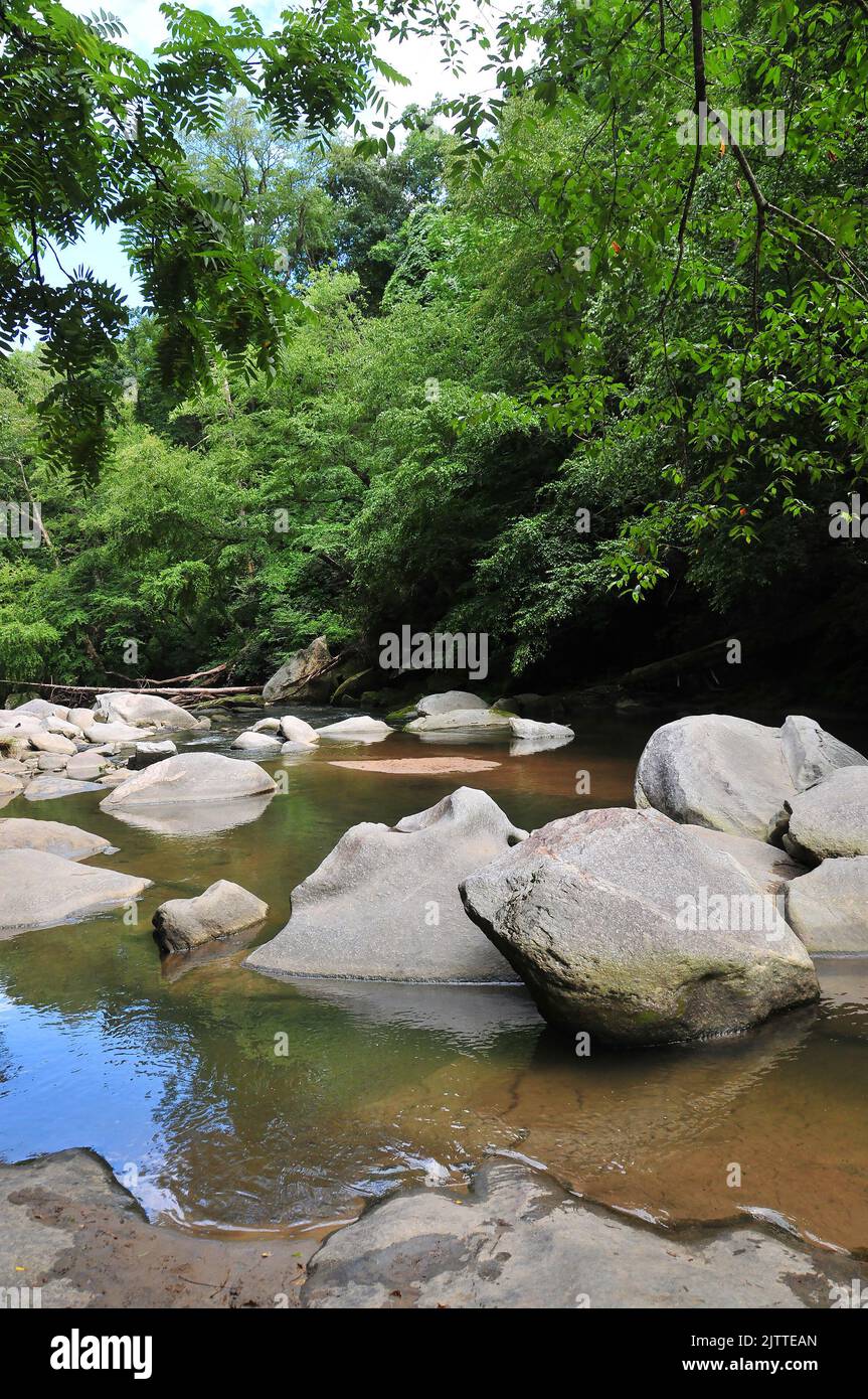 Trout anglers love to fish quiet pools off a small rivers in North ...
