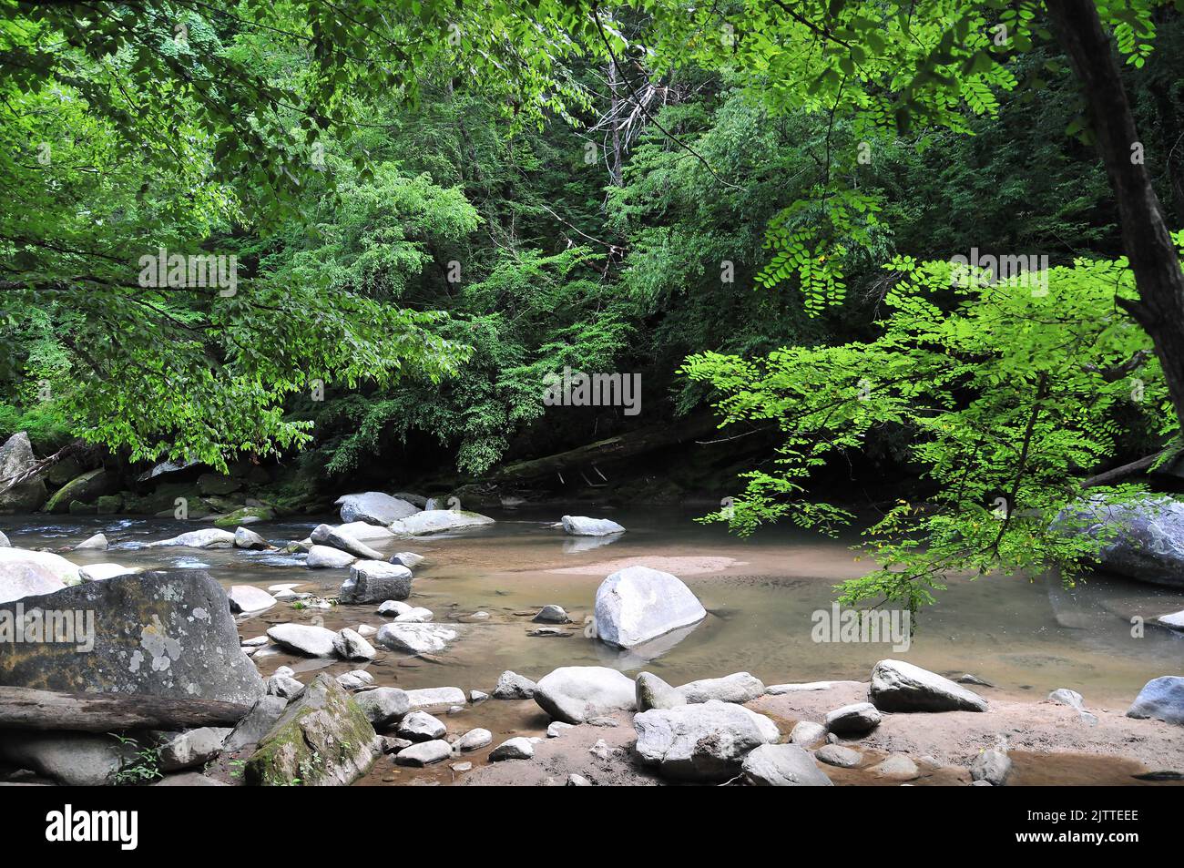 Trout anglers love to fish quiet pools off a small rivers in North ...