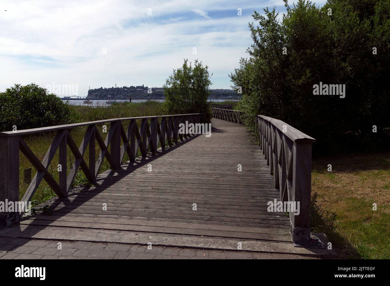 Cardiff Bay Wetland Nature Reserve, wooden walkway. Summer 2022 Stock ...