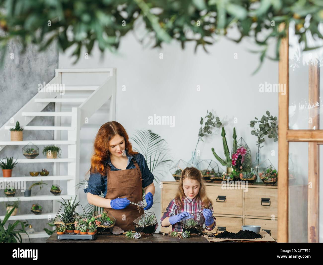 Family diy hi-res stock photography and images - Alamy