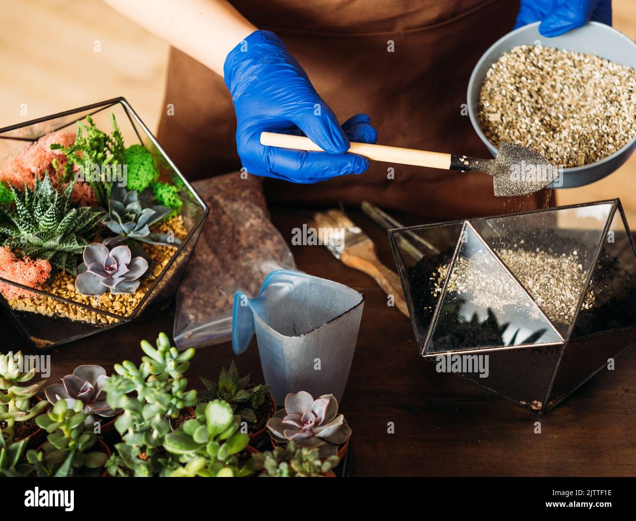 diy florarium earth day wood shavings soil vases Stock Photo - Alamy