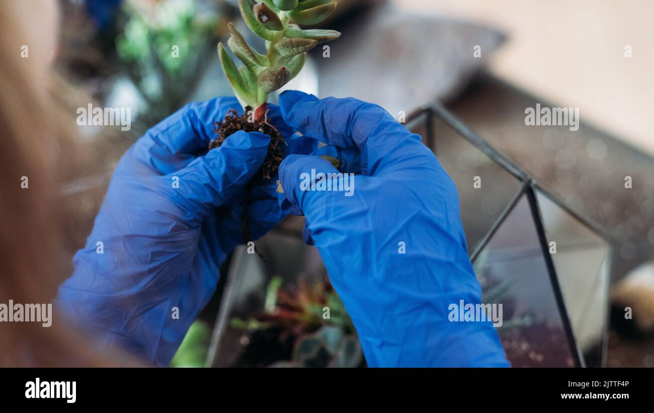 Diy gardening hi-res stock photography and images - Alamy