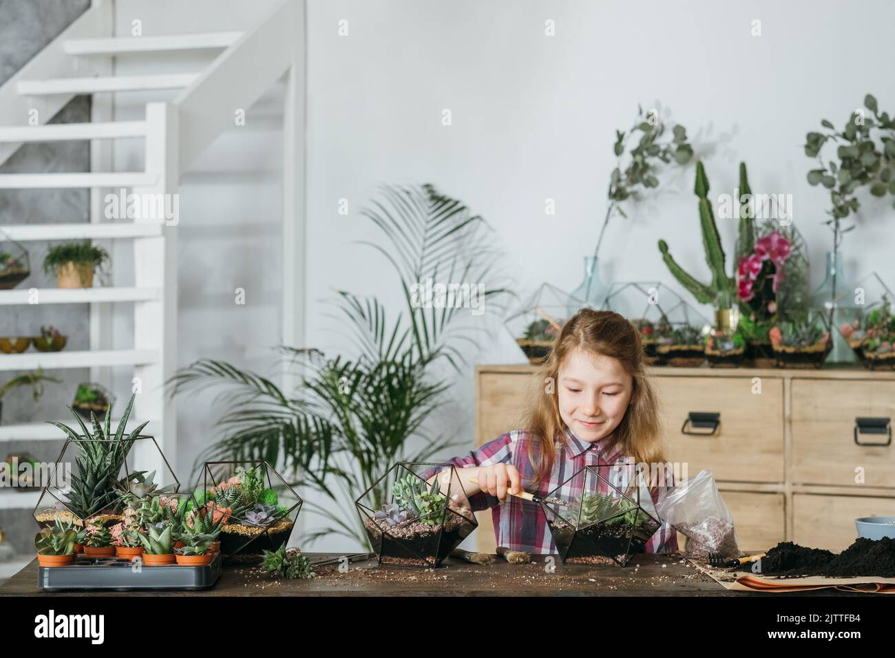 Child indoor gardening hi-res stock photography and images - Alamy