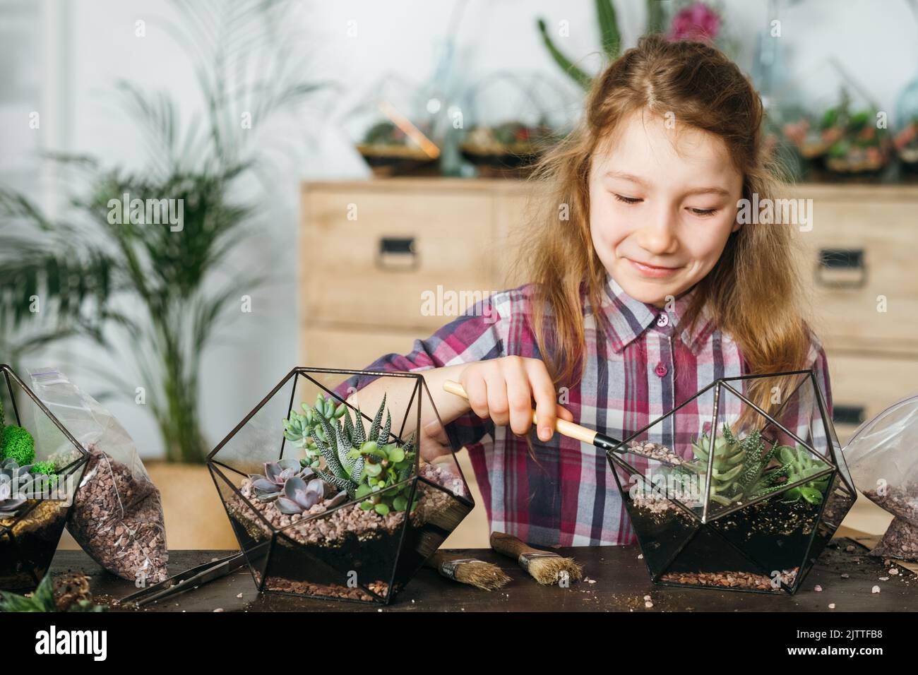 diy florarium home gardening class girl succulents Stock Photo - Alamy