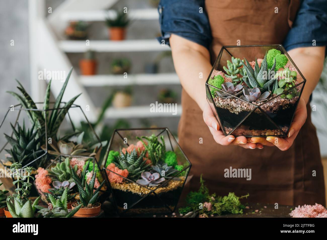 diy florarium handmade natural gift succulents Stock Photo - Alamy
