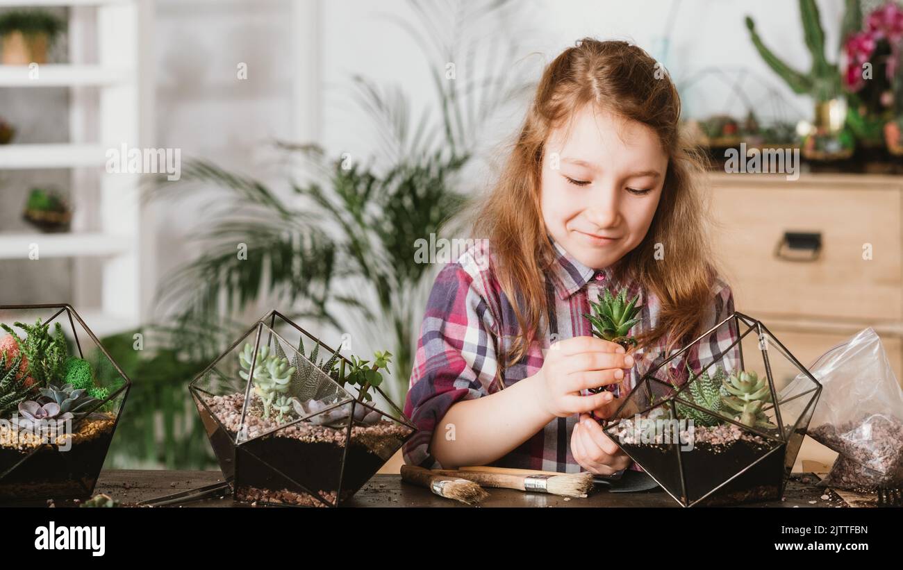 diy florarium handmade natural gift succulents Stock Photo - Alamy
