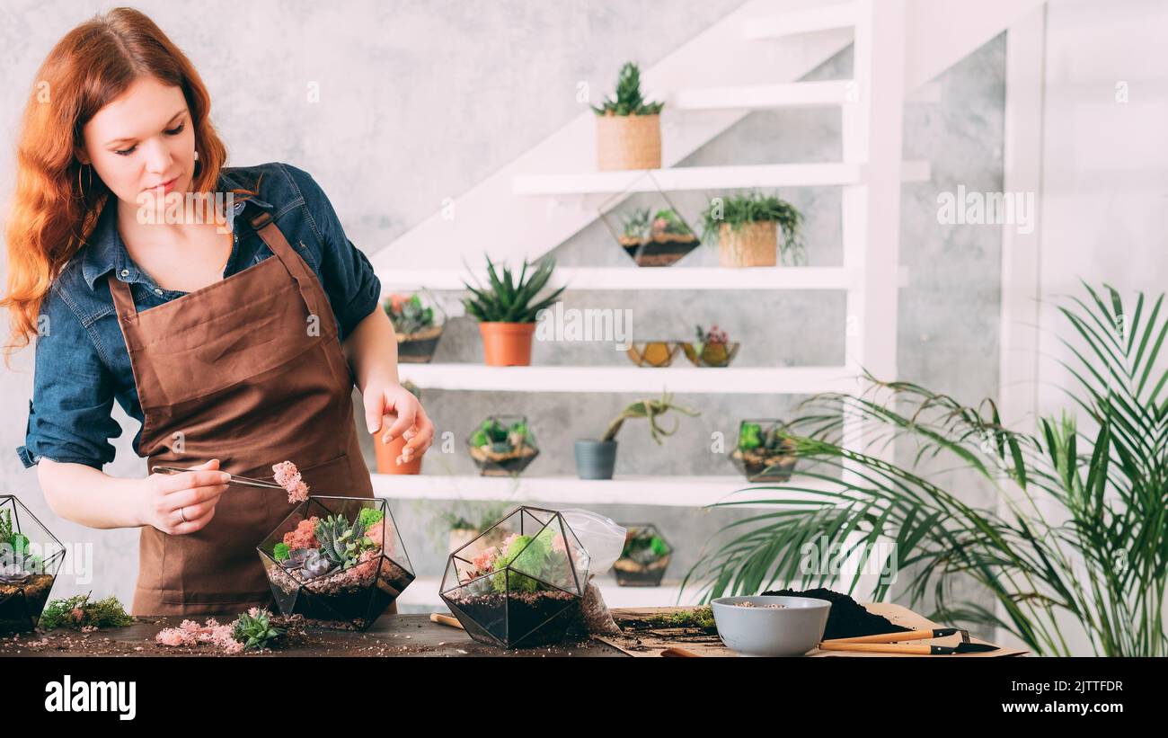 diy florarium handmade natural gift succulents Stock Photo - Alamy