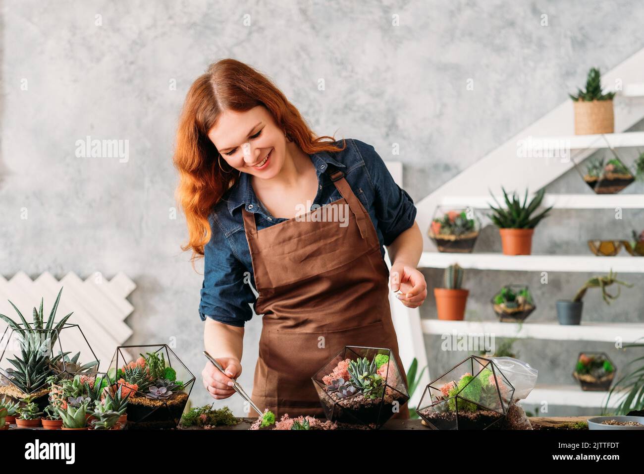 diy florarium handmade natural decor succulents Stock Photo - Alamy