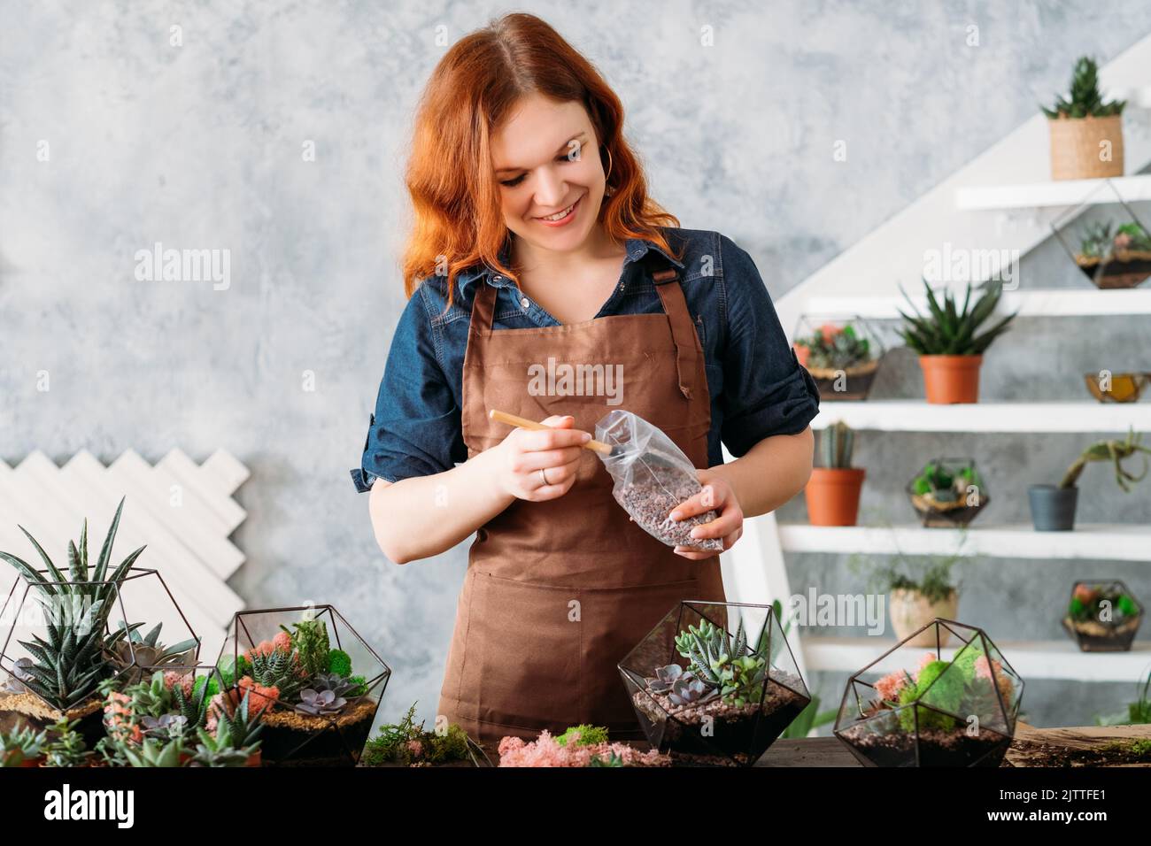 diy florarium creative leisure planting succulents Stock Photo - Alamy