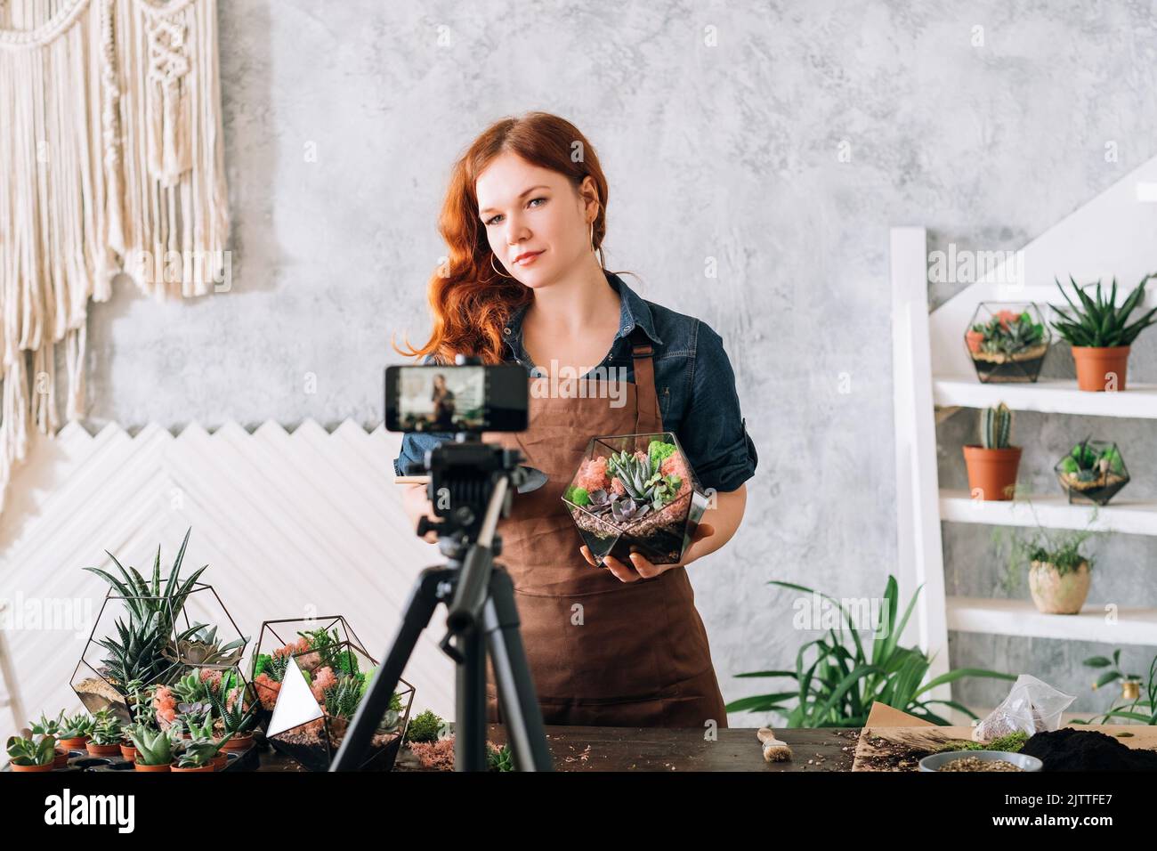 diy florarium video course woman smartphone Stock Photo - Alamy