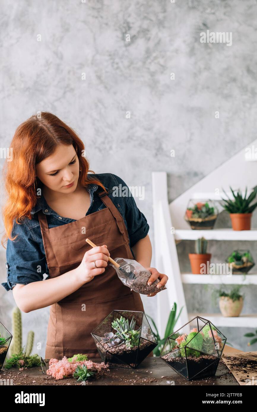 diy florarium plants growing hobby succulents Stock Photo - Alamy