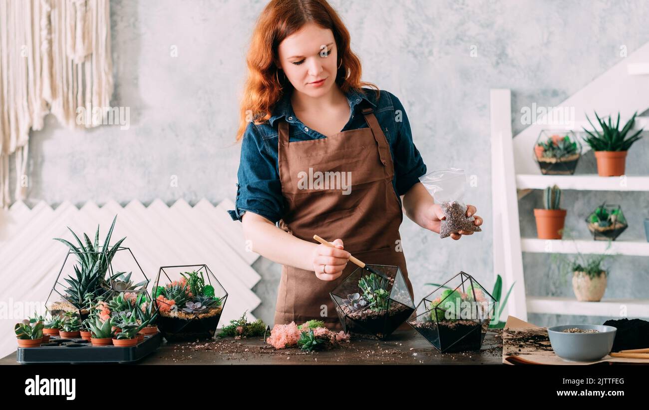 Interior planting hi-res stock photography and images - Alamy