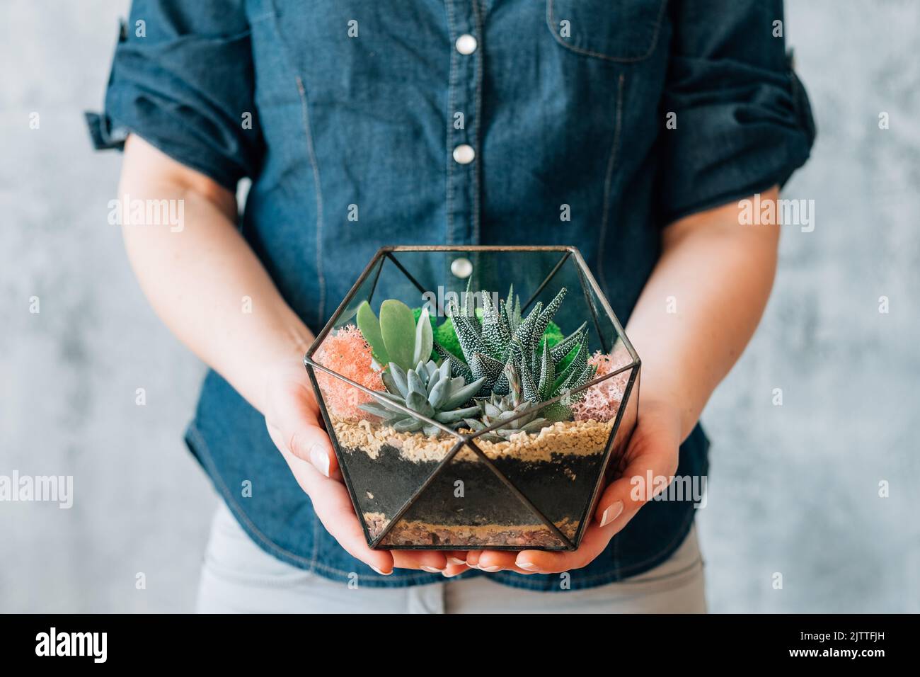 Diy delivery hi-res stock photography and images - Alamy