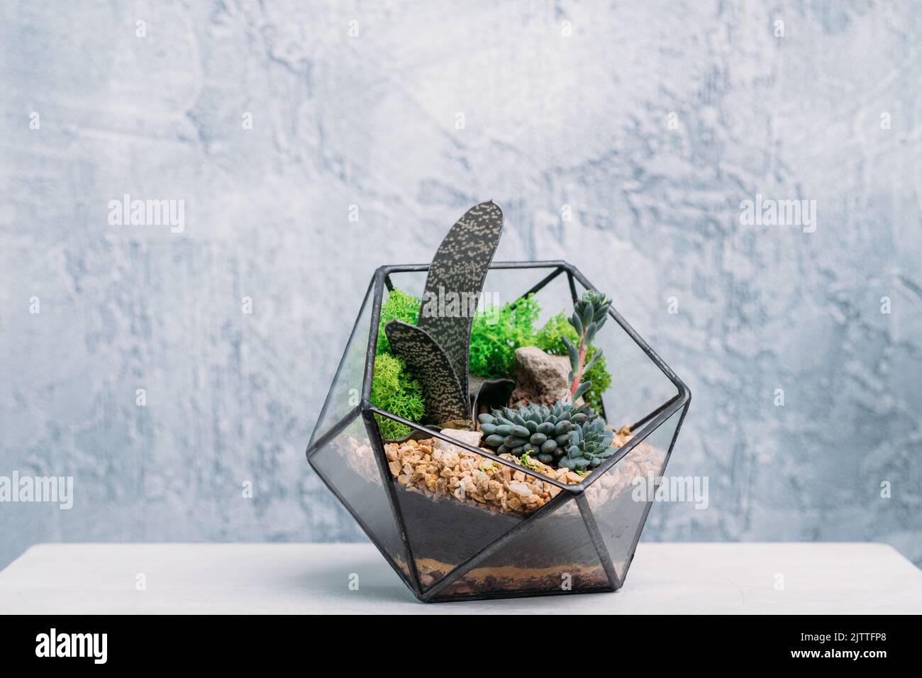 diy florarium natural interior decor succulents Stock Photo - Alamy