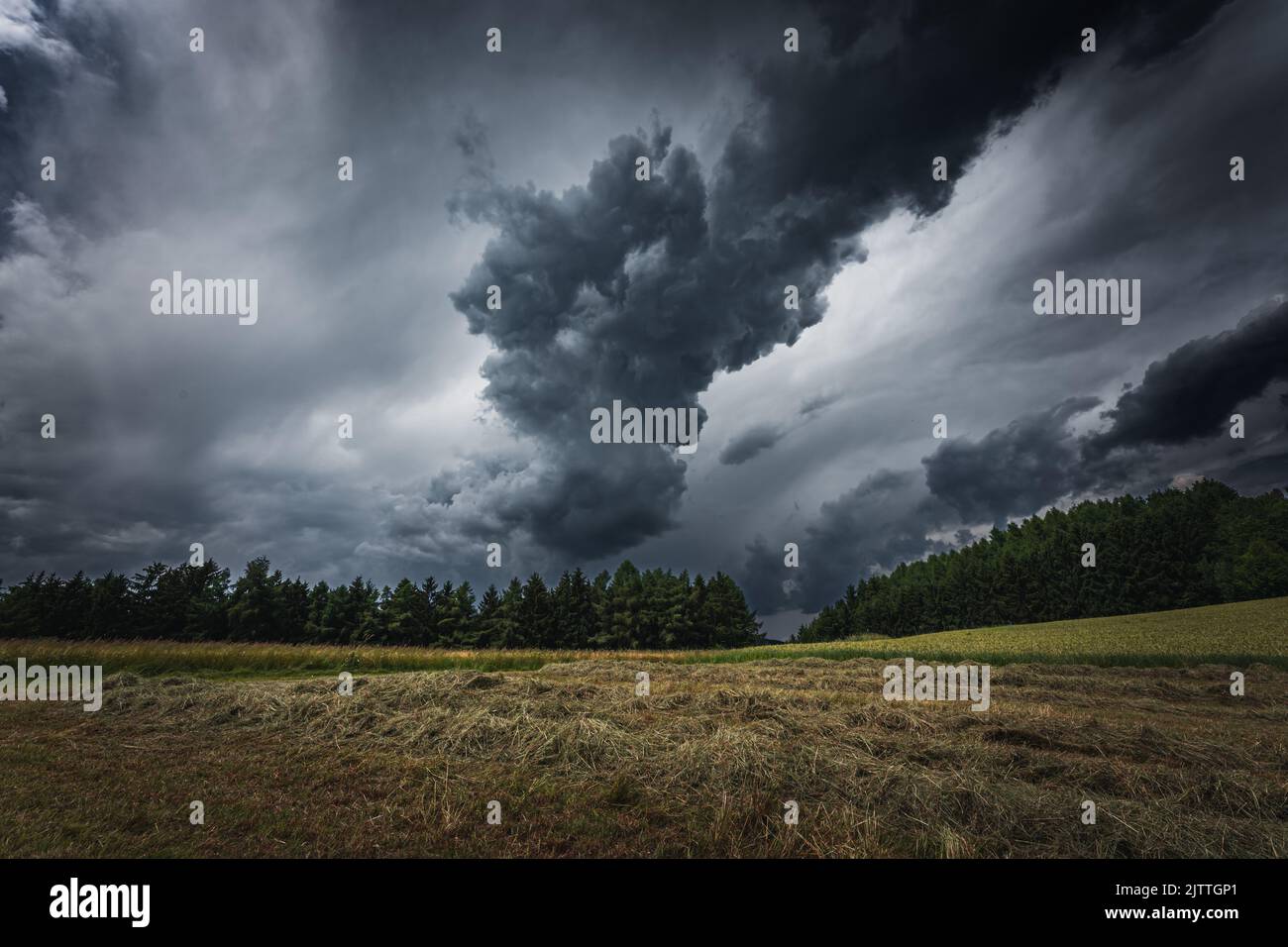 The dramatic thunderclouds over a field with green trees Stock Photo ...