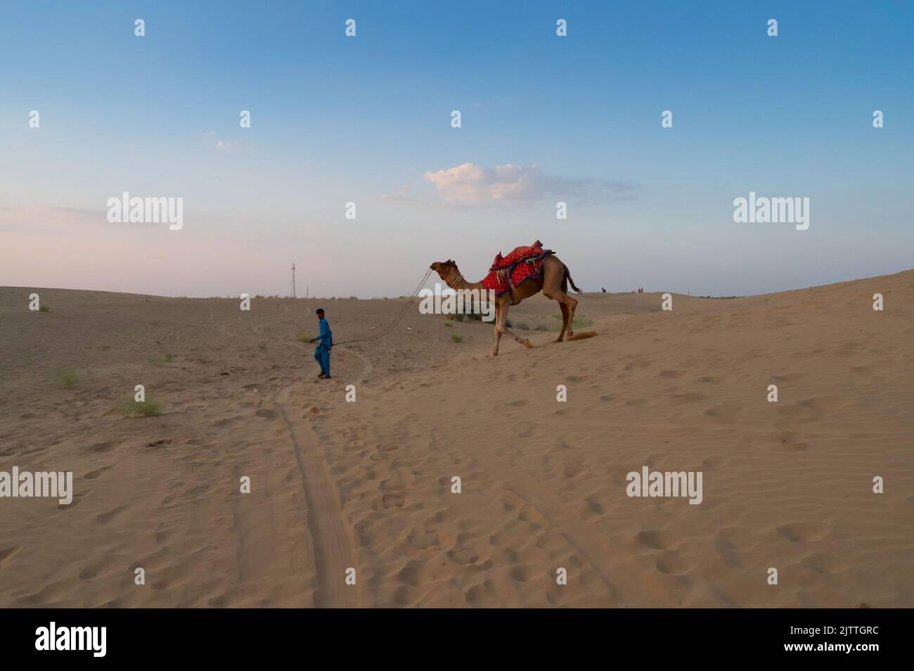 Thar desert, Rajasthan,India - 15th October 2019 : Young cameleer ...