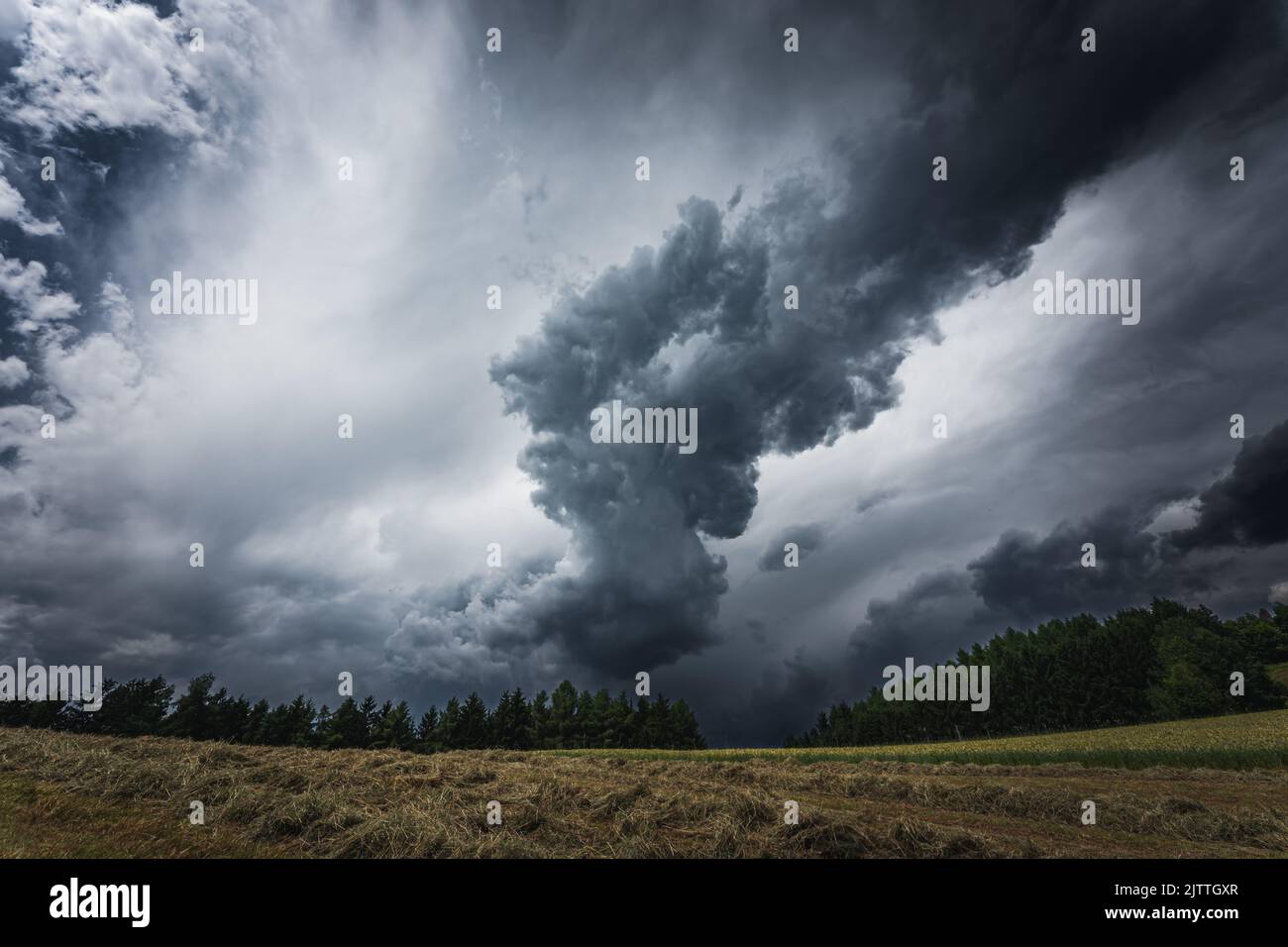 The dramatic thunderclouds over a field with green trees Stock Photo ...