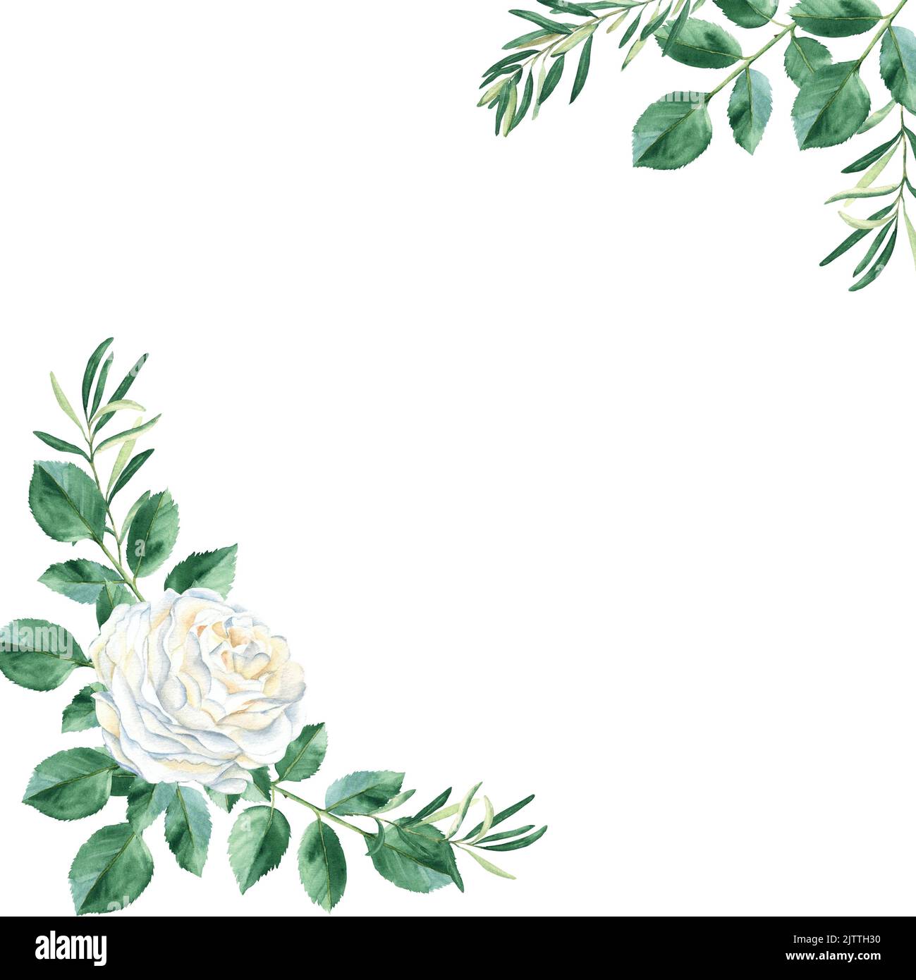 White Roses Background Frame