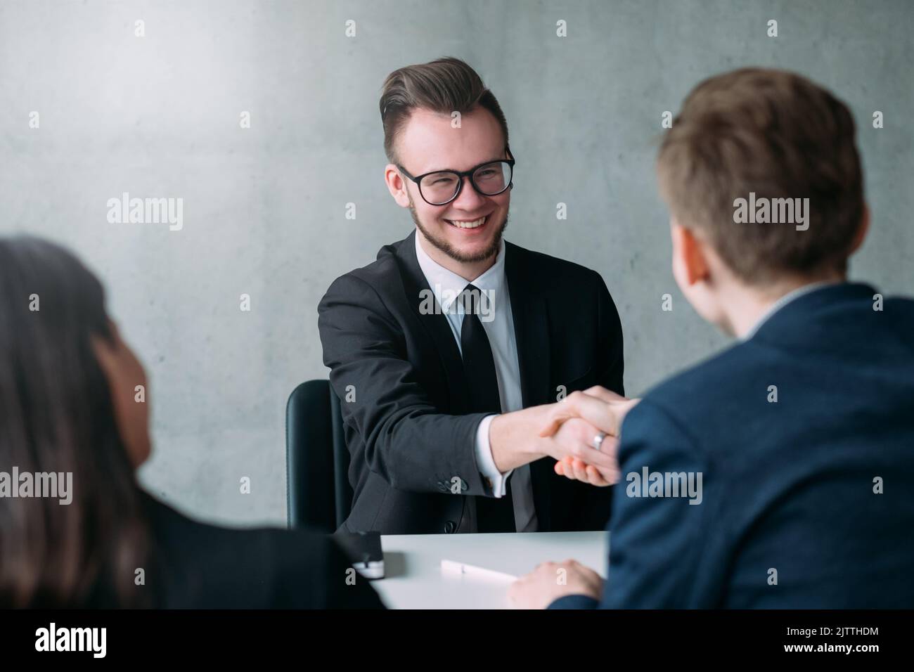 successful job interview professional career Stock Photo - Alamy