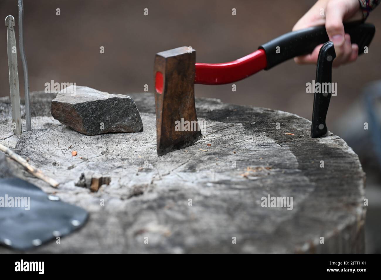 Axe tree black hi-res stock photography and images - Alamy