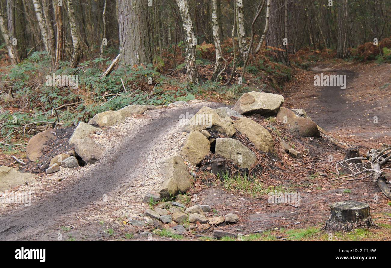 A Man Made Obstacle on a Woodland Cycle Track Stock Photo - Alamy