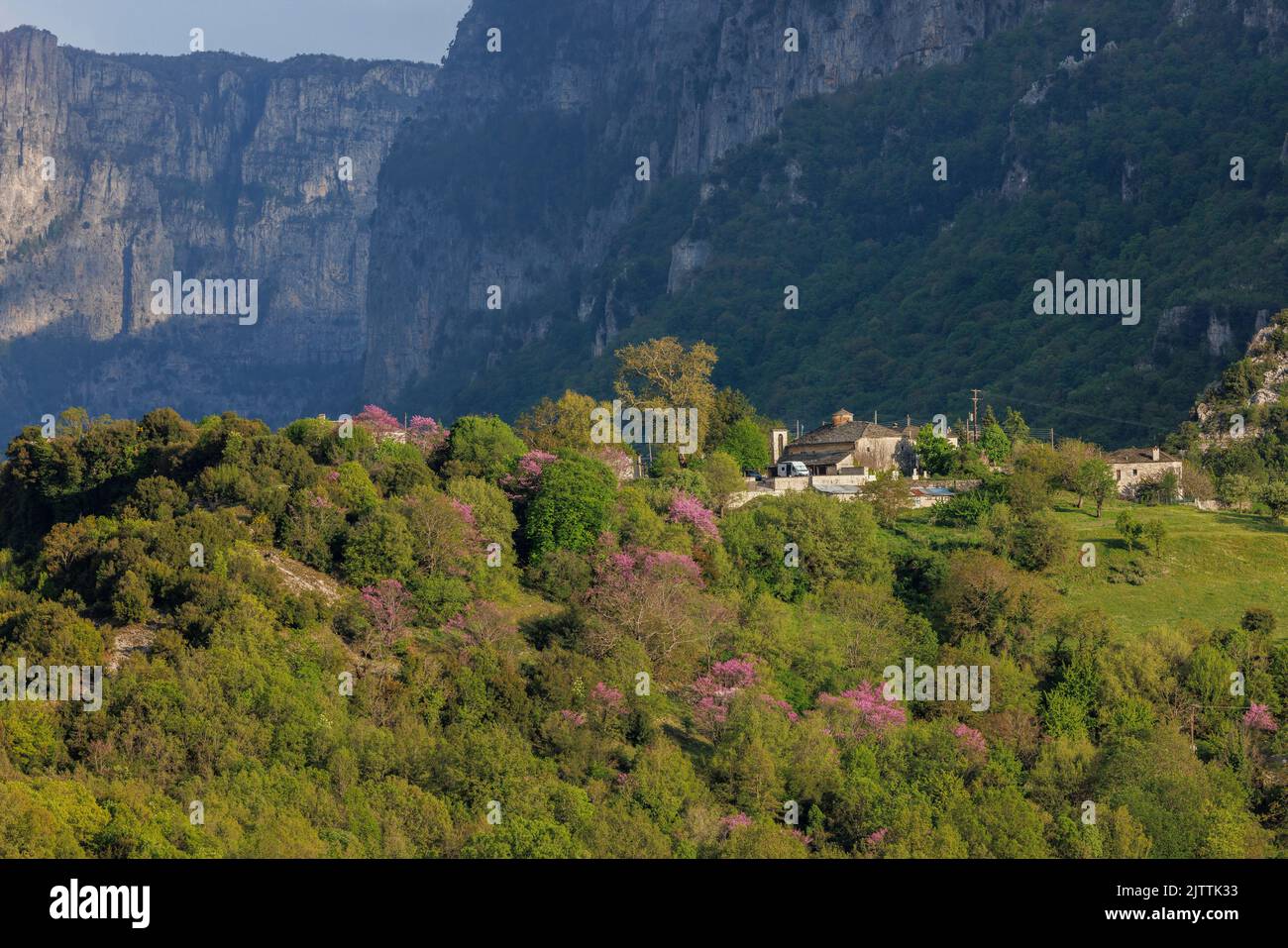 The village of Vikos, and the Vikos Gorge beyond, surrounded by ...