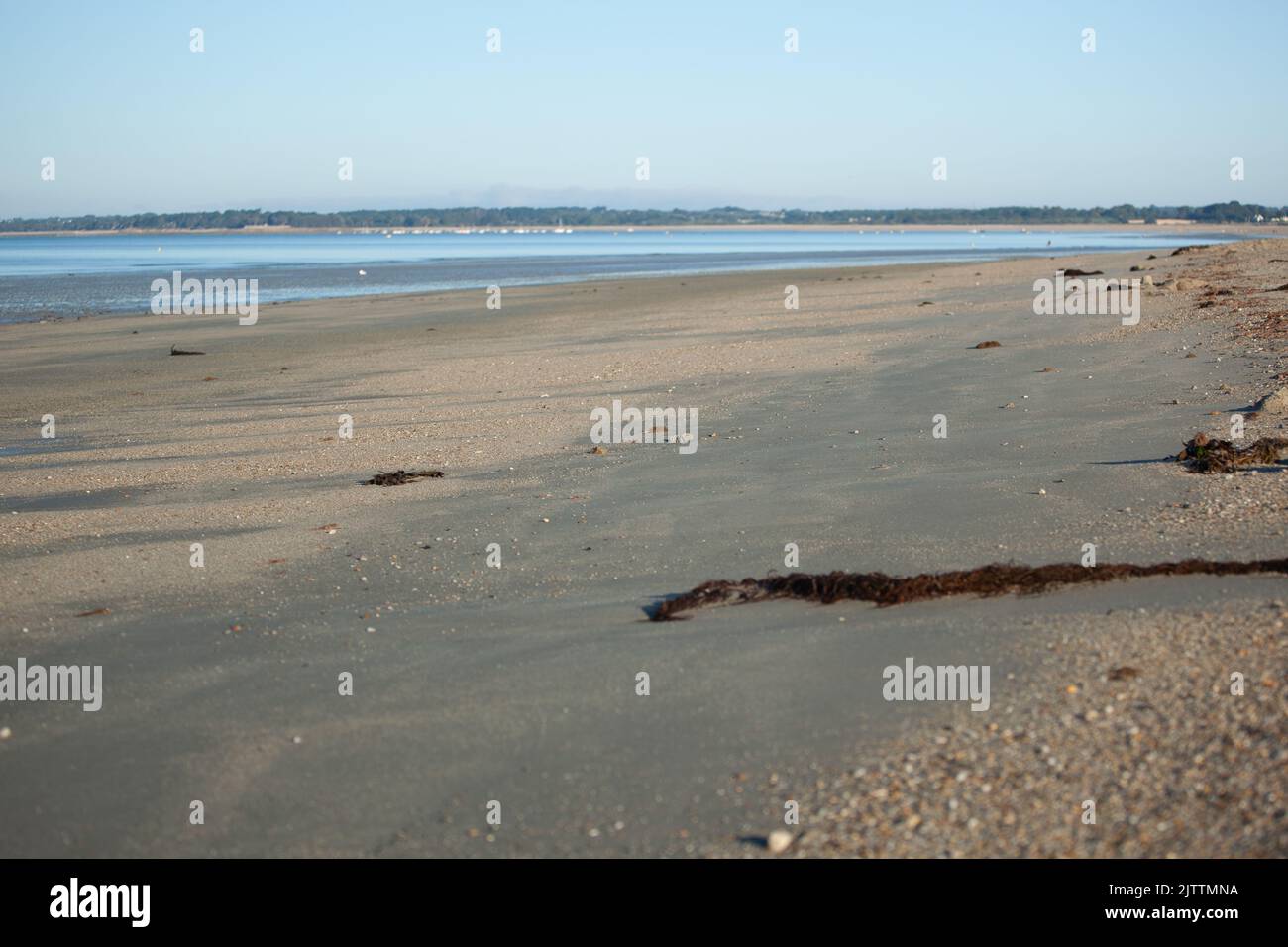 Well lit night sky hi-res stock photography and images - Alamy