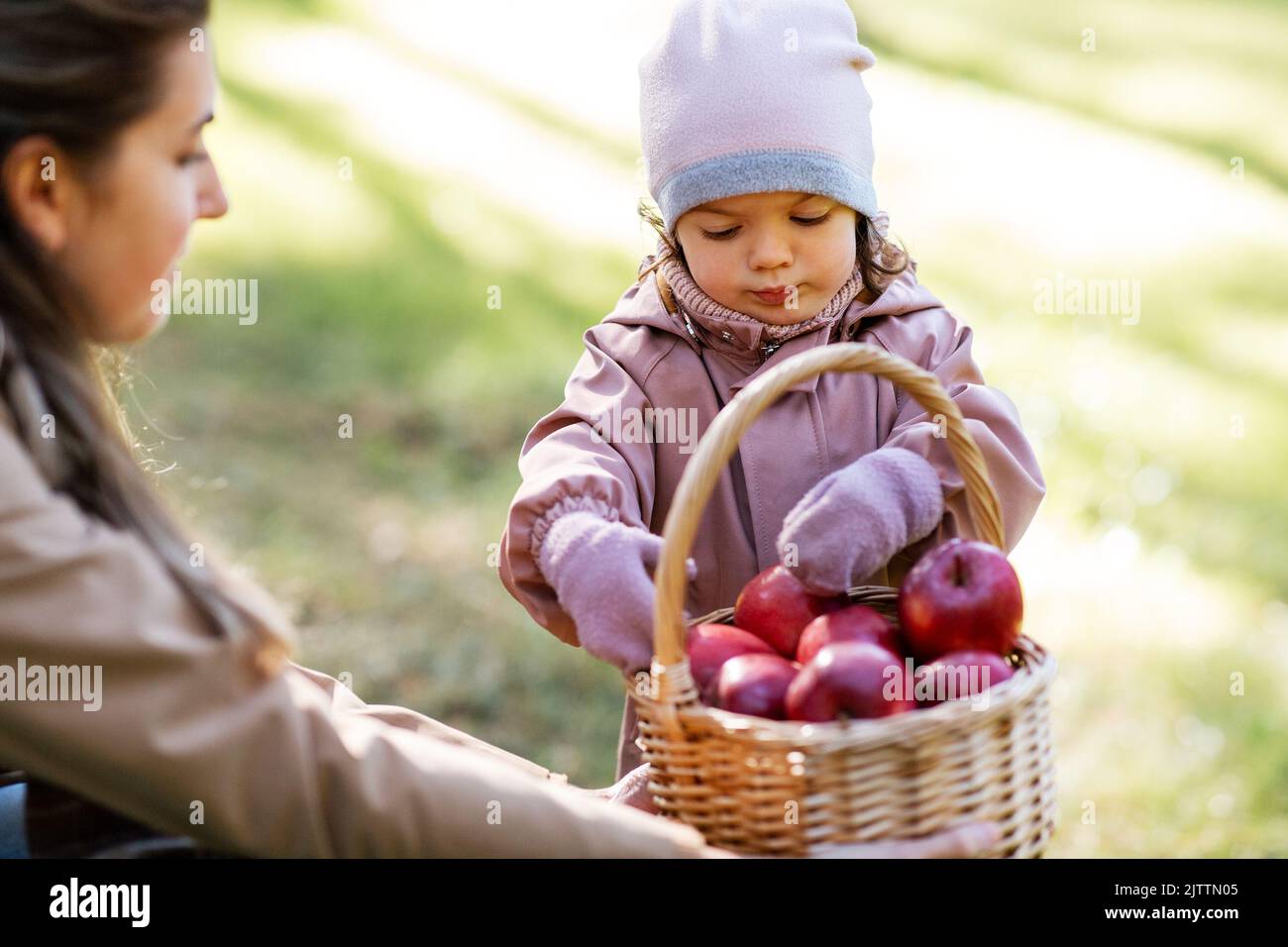 mother and baby daughter with basket of apples Stock Photo - Alamy