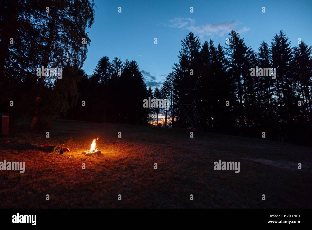 Small campfire in a forest during night or evening time, with trees being lit by the setting sun ...