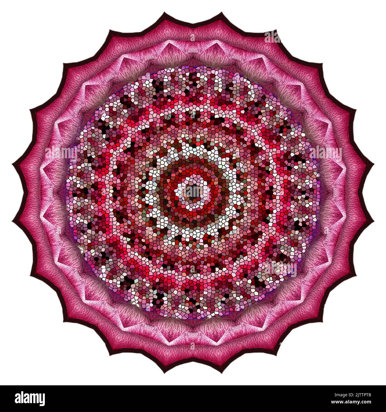 Kaleidoscope Concentric Pattern - Abstract Floral Inspired Design Stock ...
