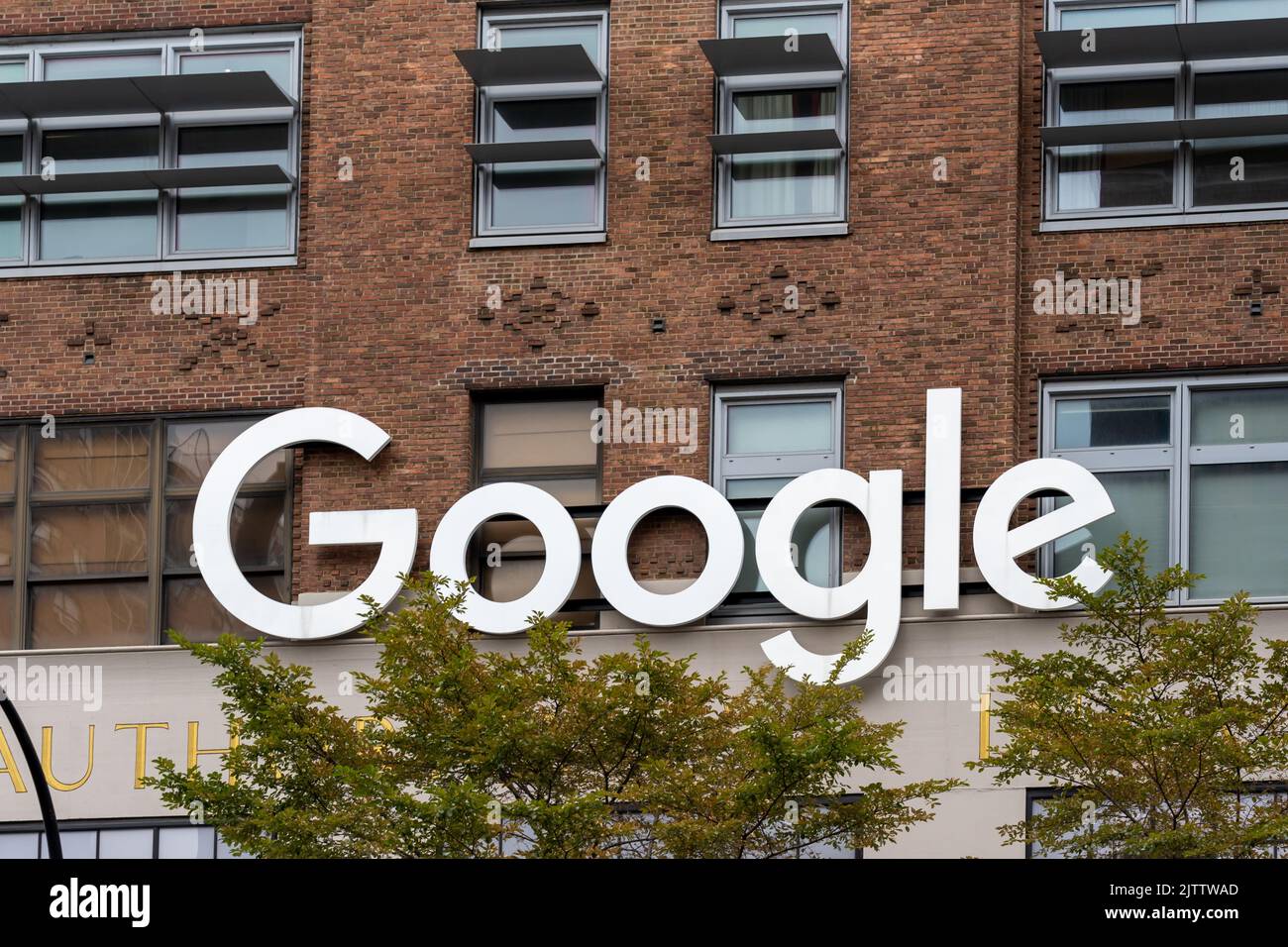 New York City, NY, USA - August 22, 2022: Close up of Google sign on ...