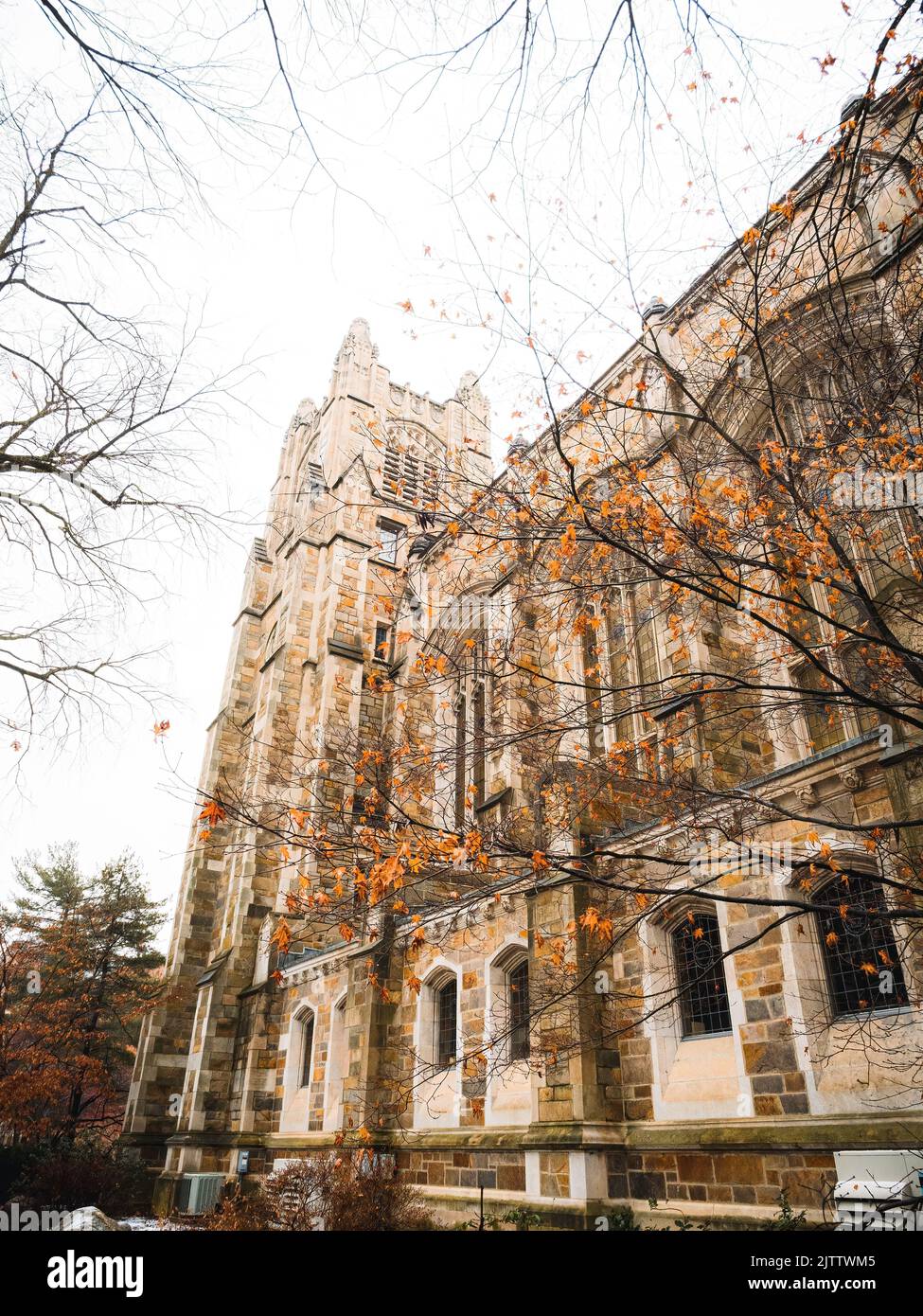 Vertical shot brown residential hi-res stock photography and images - Alamy