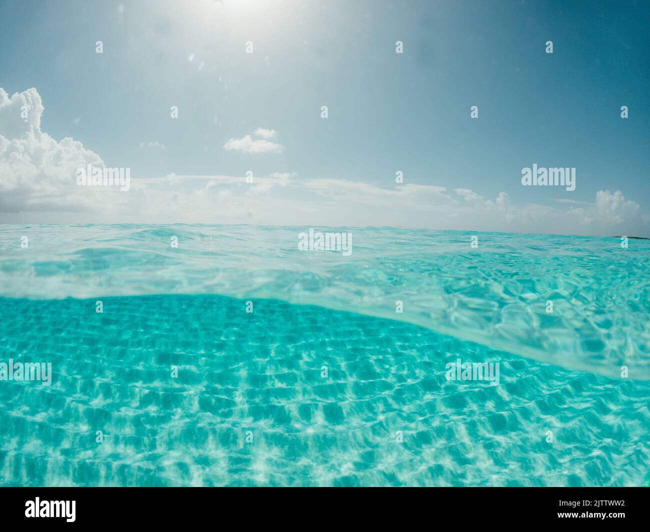 Half and half underwater shot hi-res stock photography and images - Alamy