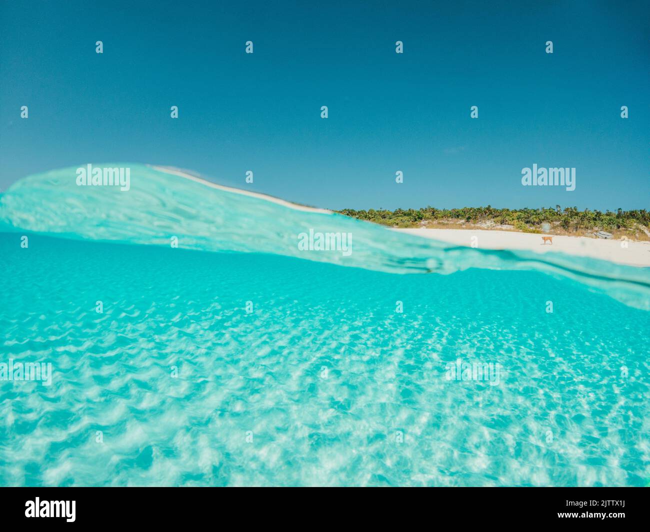 Half underwater shot, clear turquoise water and sunny blue sky ...